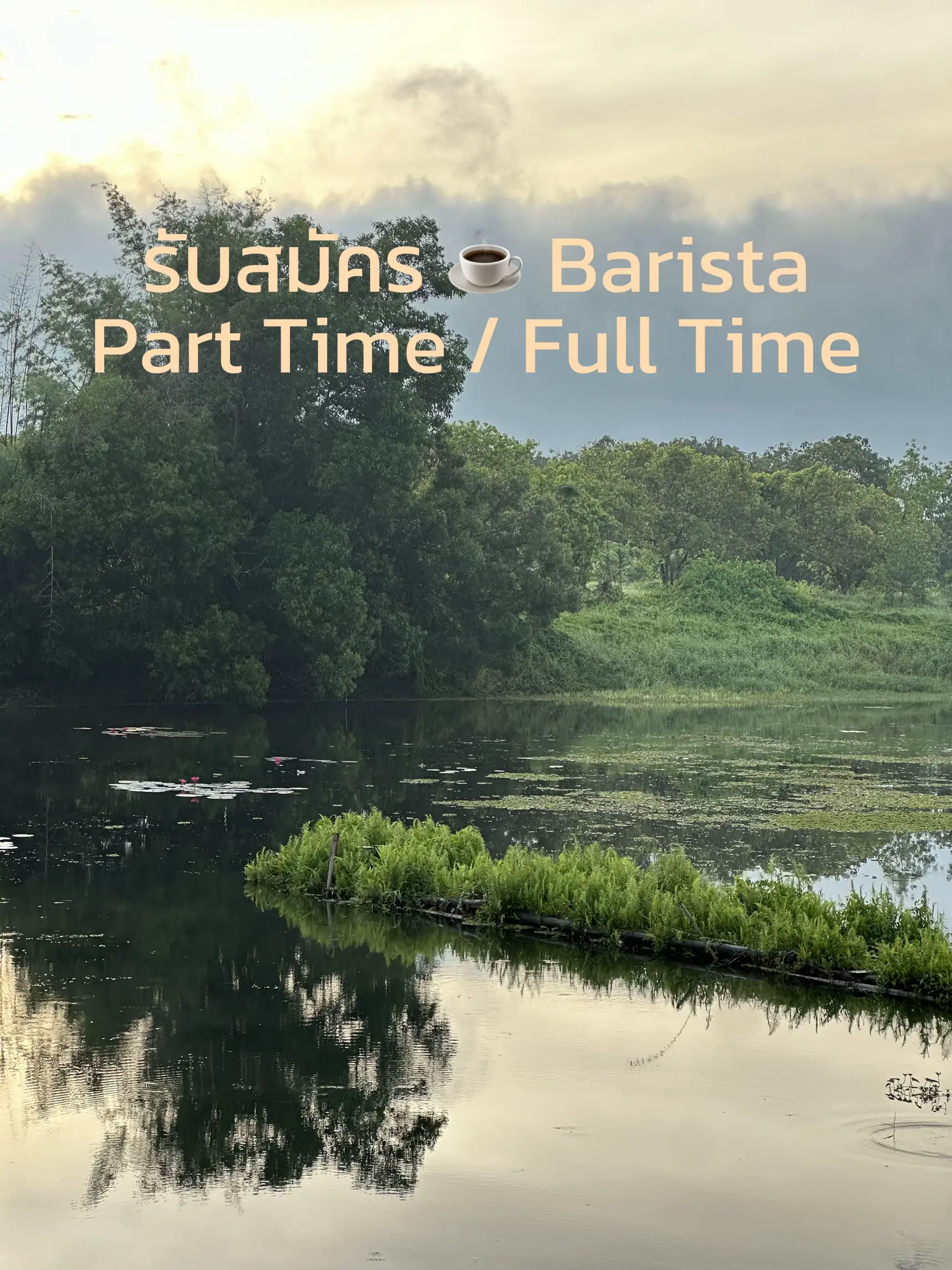 รับสมัคร ☕️ BaristaPart Time / Full Time | แกลเลอรีที่โพสต์โดย โรงคั่วกาแฟ | Lemon8