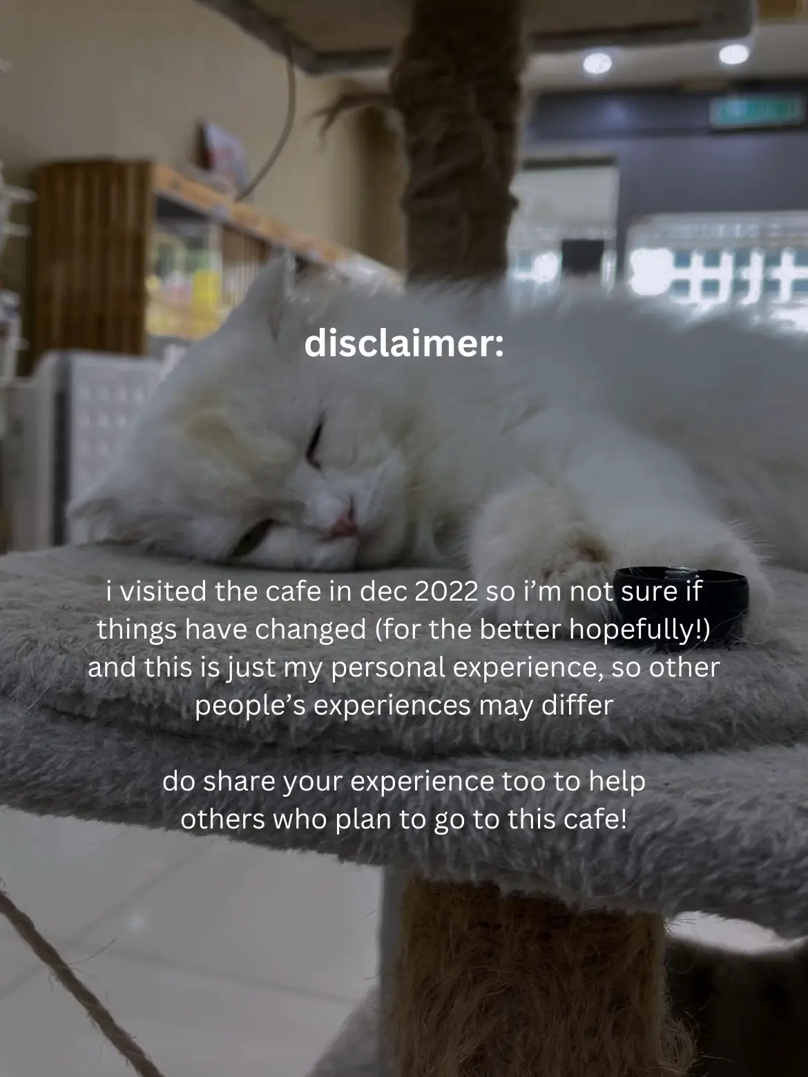 my honest review on chow q cafe in jb 🐕🐈‍⬛ | Gallery posted by faith ッ ...