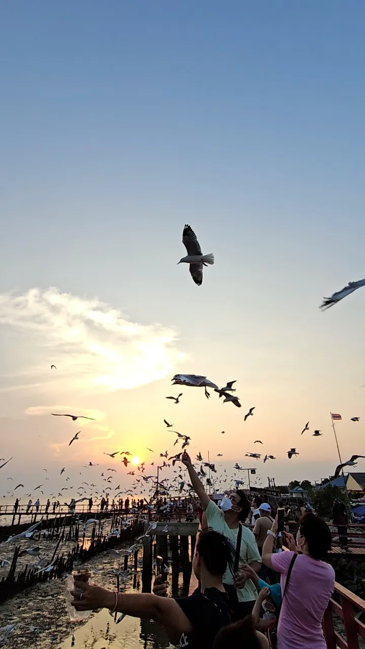 ตาก...ลม ชมนก สมุทรสาคร | วิดีโอที่เผยแพร่โดย Kr.TOR | Lemon8