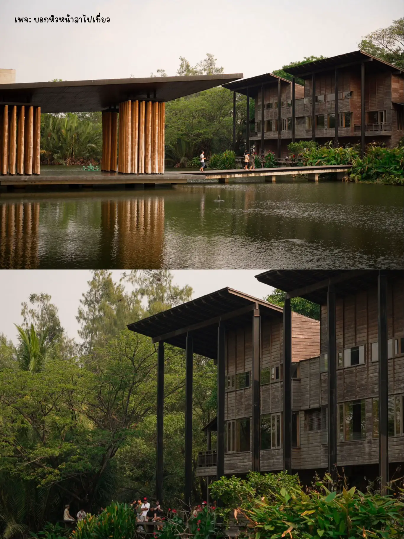 คาเฟ่มู้ดดีที่ซ่อนอยู่ใน ม.มหิดล ศาลายา | แกลเลอรีที่โพสต์โดย ...