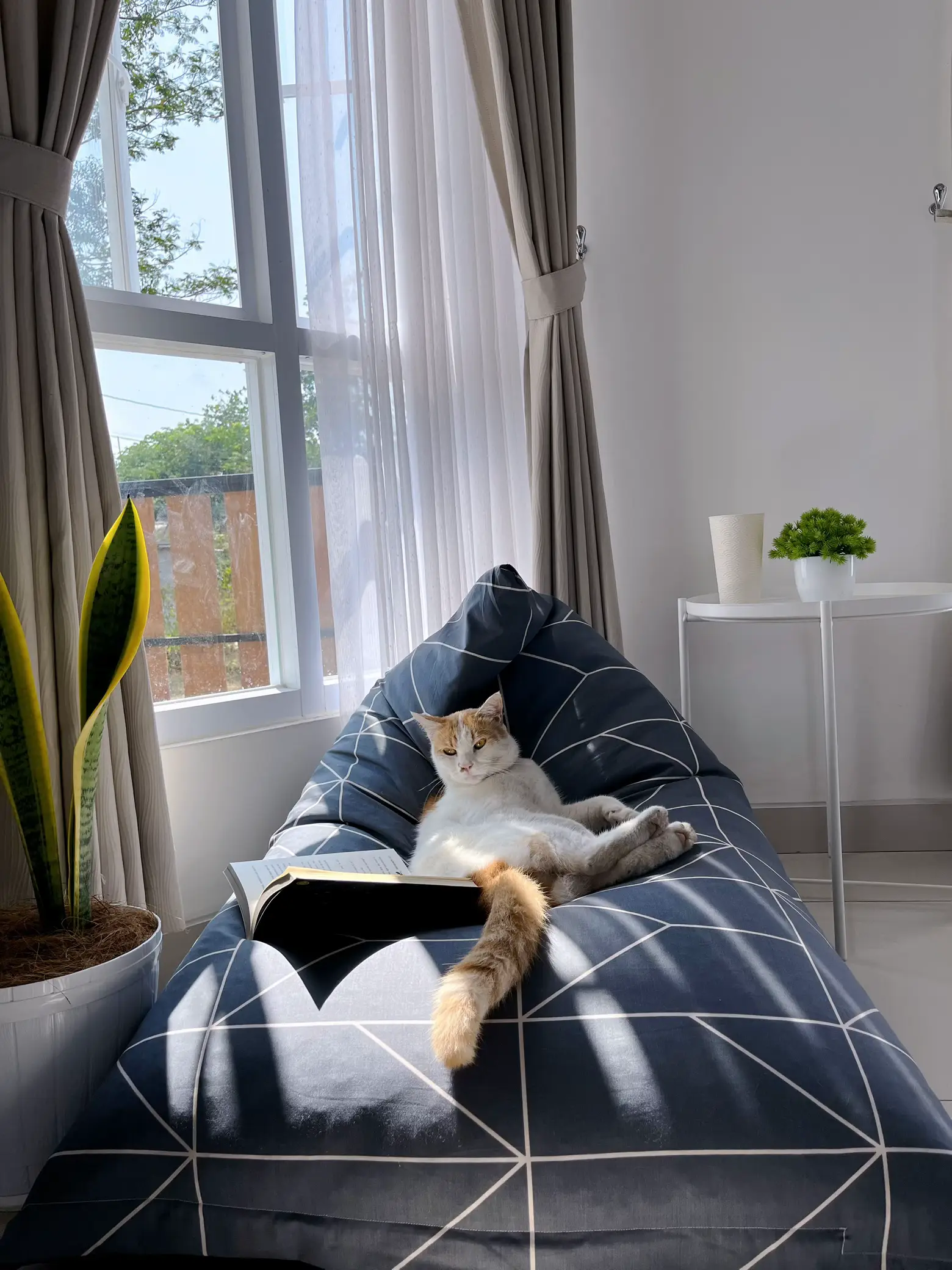 Spot nyantai | Galeri diposting oleh Rumah Valge | Lemon8