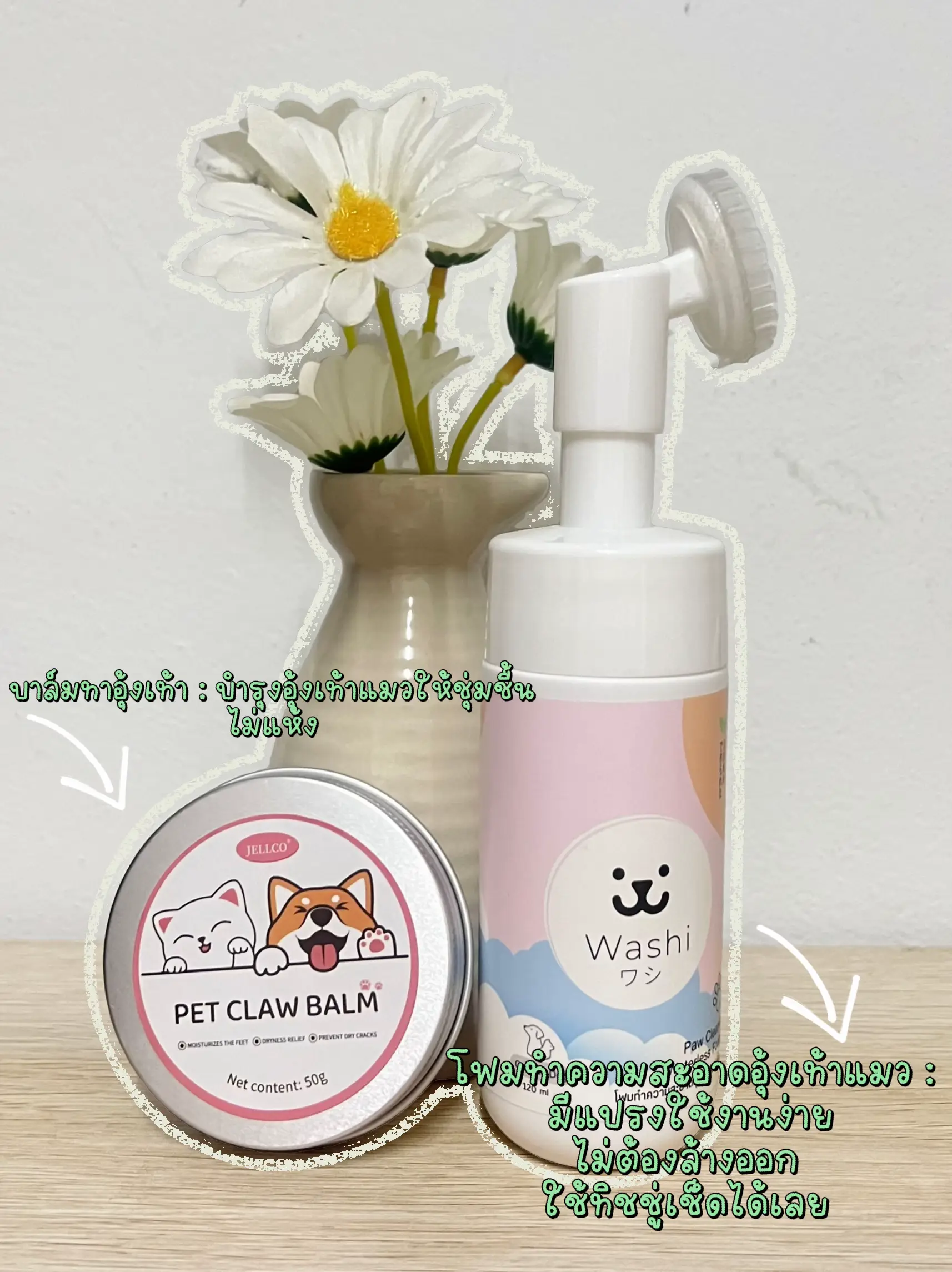 ของใช้น้องแมว ที่ควรมีติดบ้าน | แกลเลอรีที่โพสต์โดย Yves.tt | Lemon8