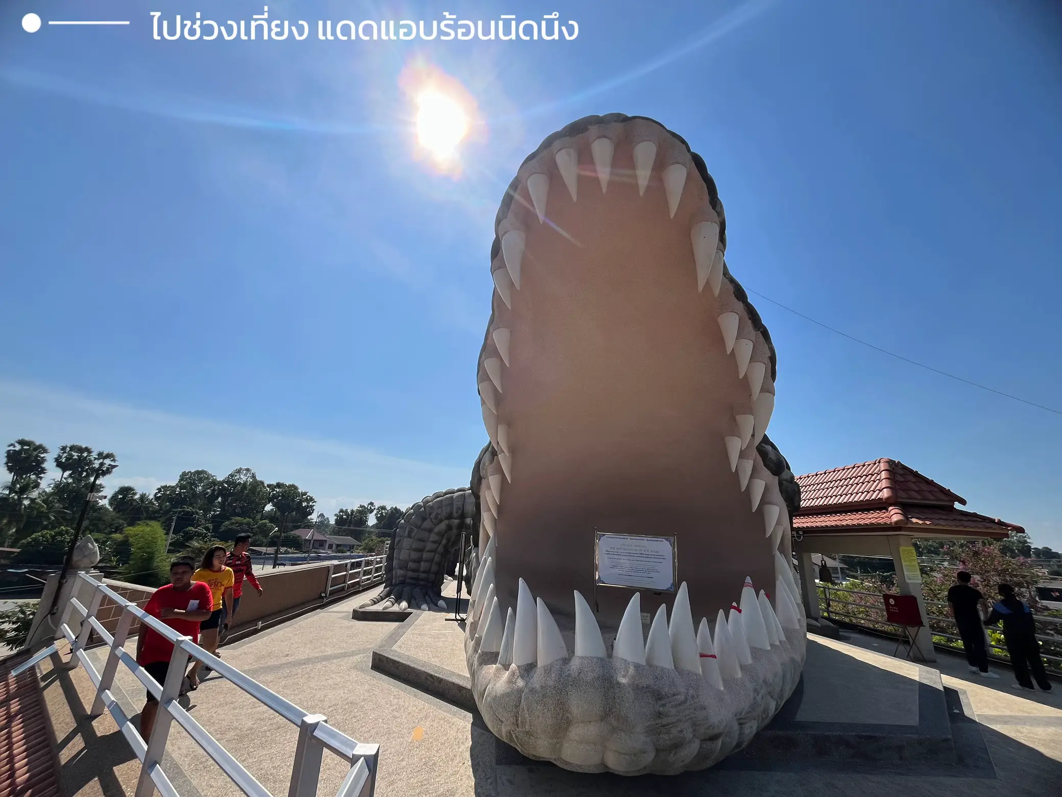 ไอ้ด่างเกยไชย | แกลเลอรีที่โพสต์โดย Weerayut | Lemon8