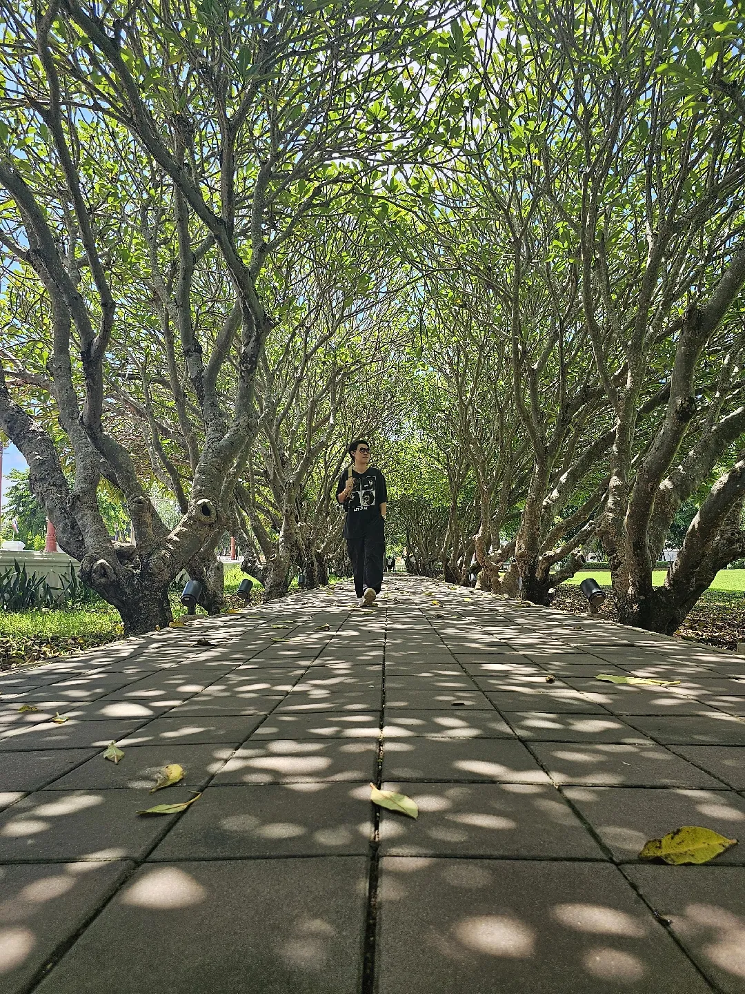 มากี่ครั้งก็สวย | Gallery posted by Yui | Lemon8