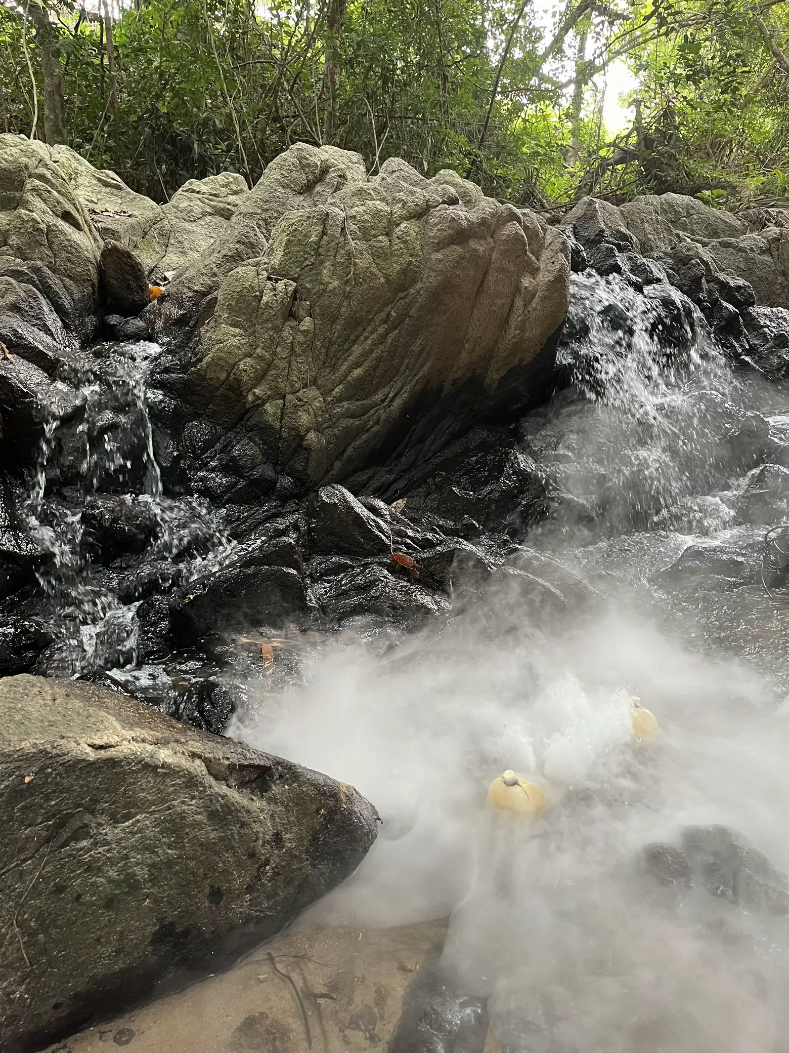 The hidden falls ในสวนลับ 🌿☘️🌱 คาเฟ่น้ำตก บรรยากาศดี | แกลเลอรีที่โพสต์ ...