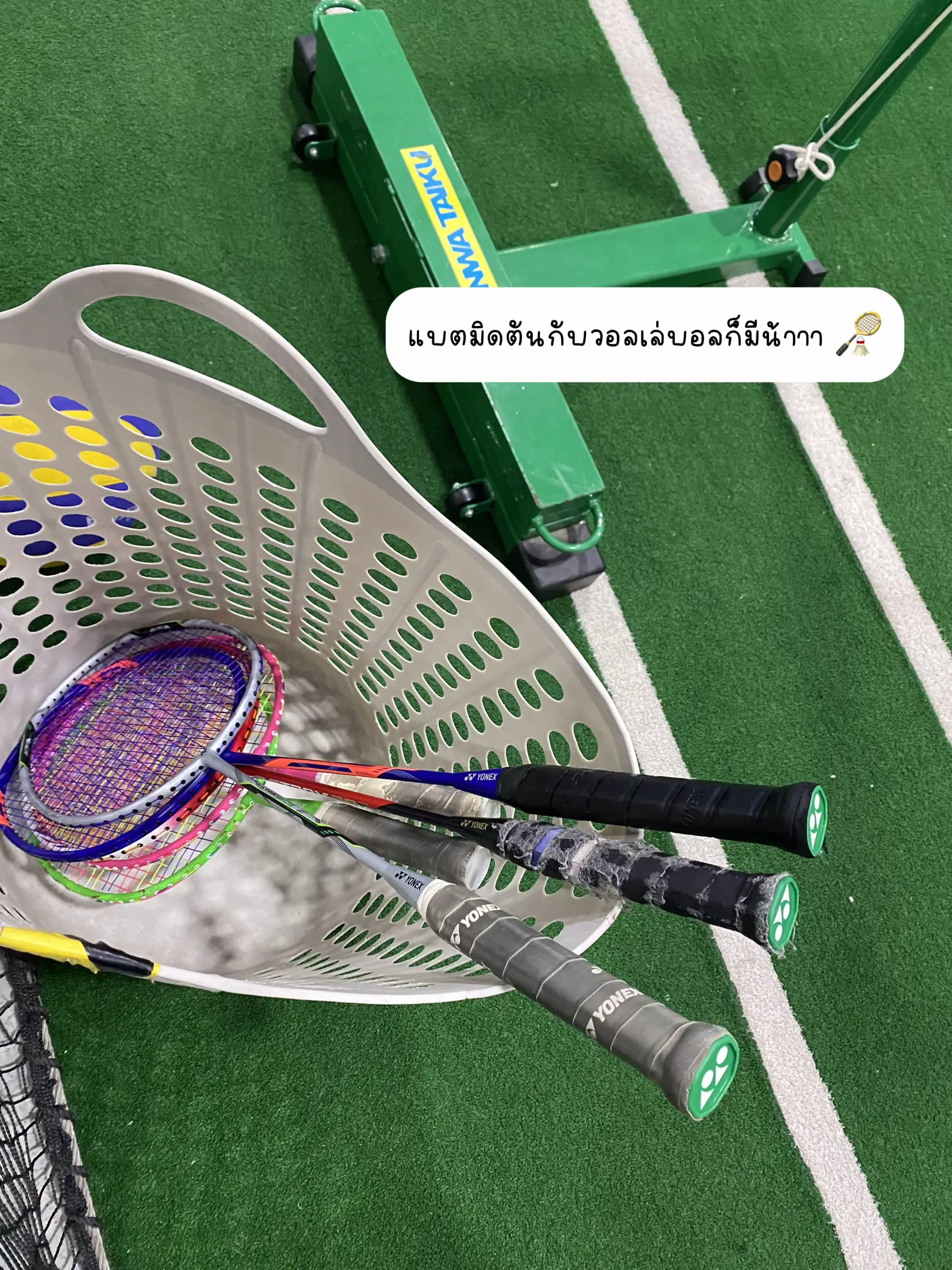 สาย activity กีฬาในร่ม ดองกิมอลล์ ห้ามพลาดด‼️ | แกลเลอรีที่โพสต์โดย New ...