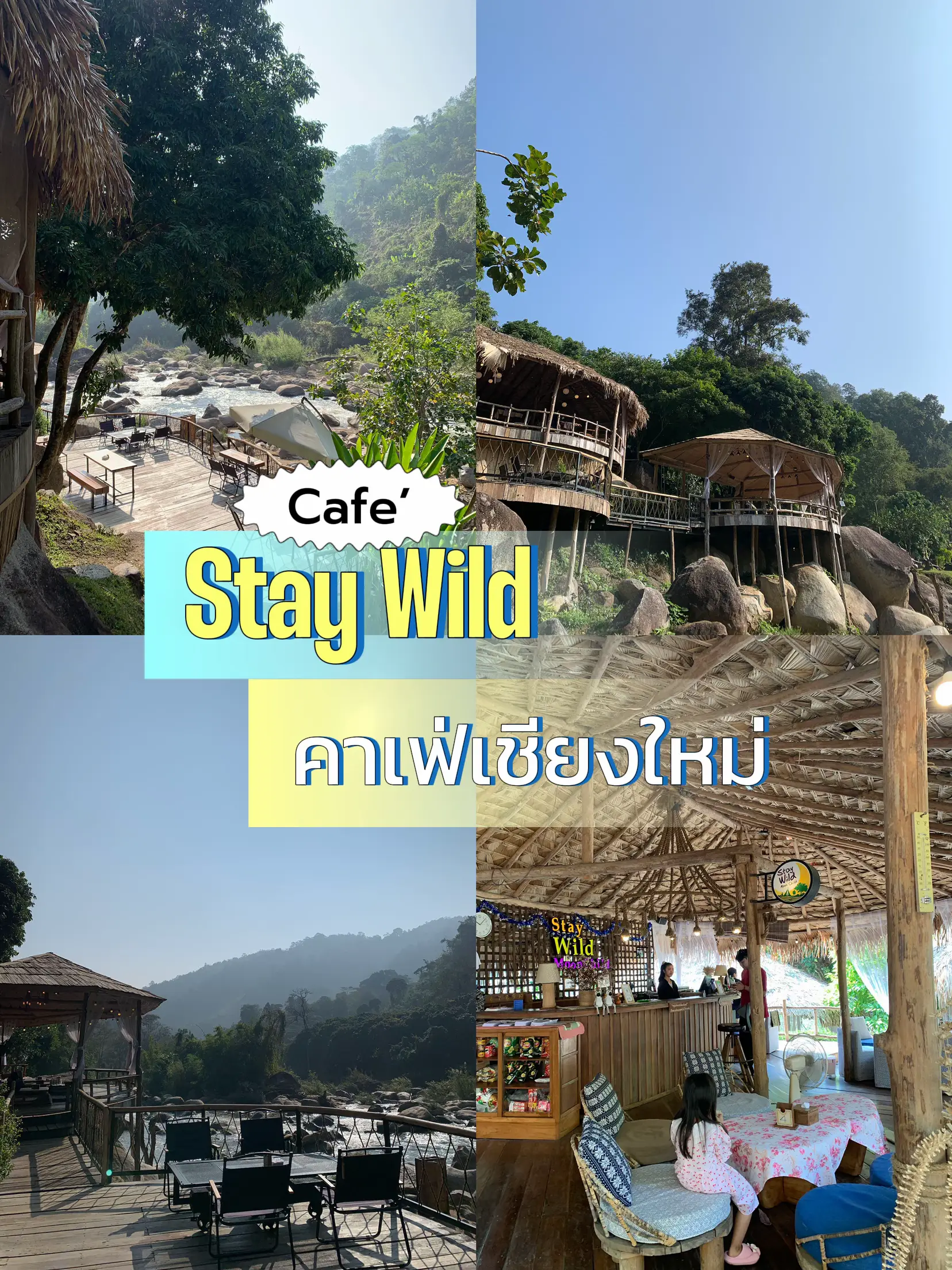 20 ไอเดียยอดนิยมเกี่ยวกับ คาเฟ่แม่แตง เชียงใหม่ ในปี 2024
