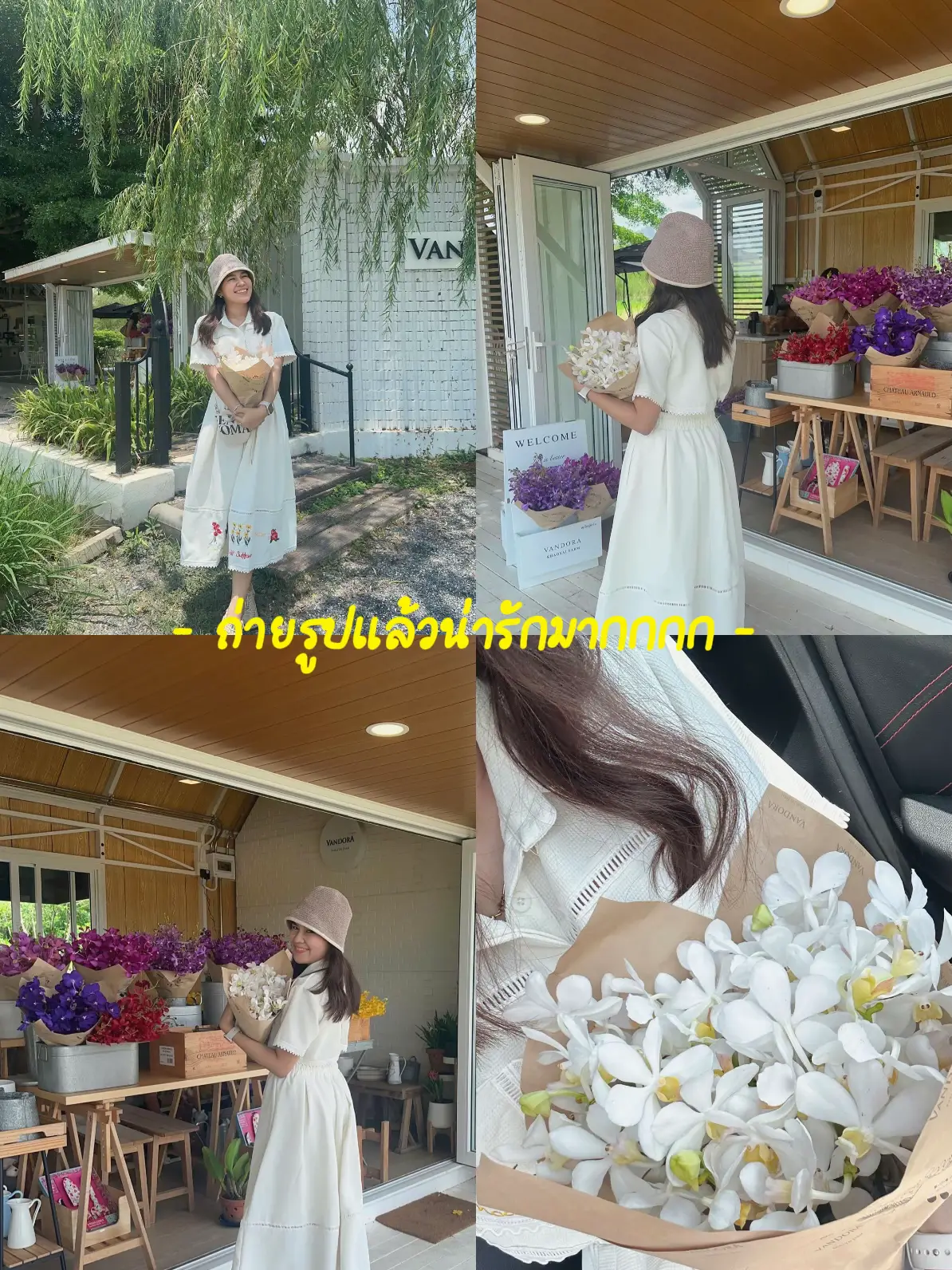 💐 Vandora & Mikka Khaoyai Farm ☕️ ร้านดอกไม้ & กาแฟ | แกลเลอรีที่โพสต์ ...