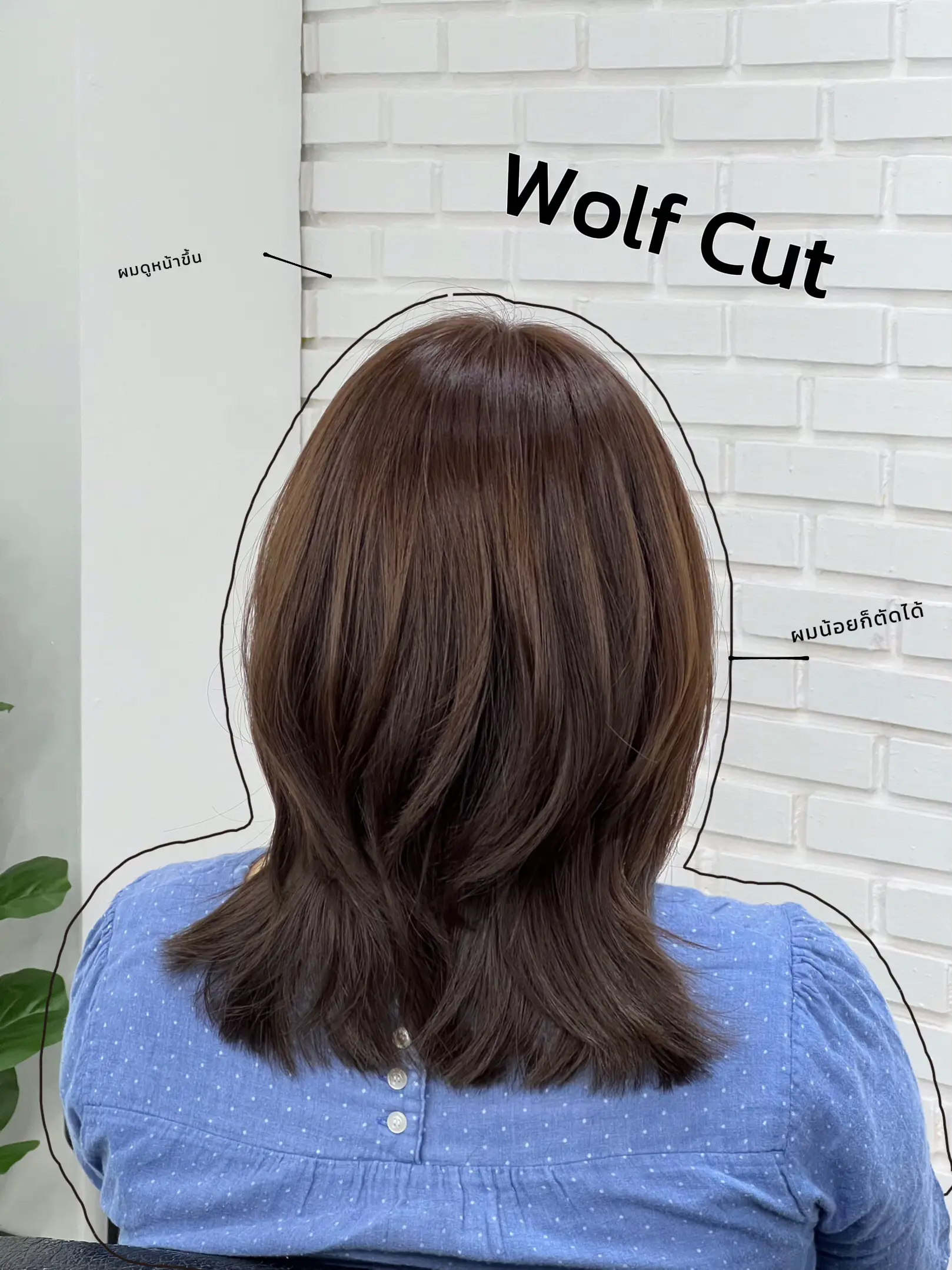 ทรงผม wolf cut + chocolate brownt | แกลเลอรีที่โพสต์โดย Rabbitholesalon | Lemon8