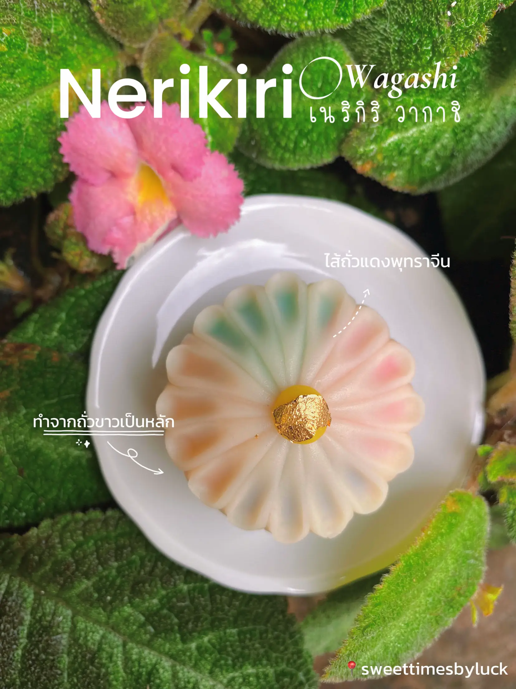 Nerikiri wagashi 🌸งานศิลป์บนเนริกิริวากาชิ | แกลเลอรีที่โพสต์โดย Lucky | Lemon8