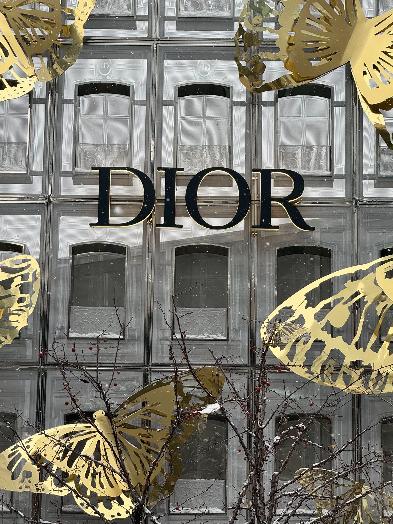 🇰🇷 เที่ยว ‘เกาหลี’ หน้าหนาว แบบหิมะตก | แกลเลอรีที่โพสต์โดย Slisa Sri ...