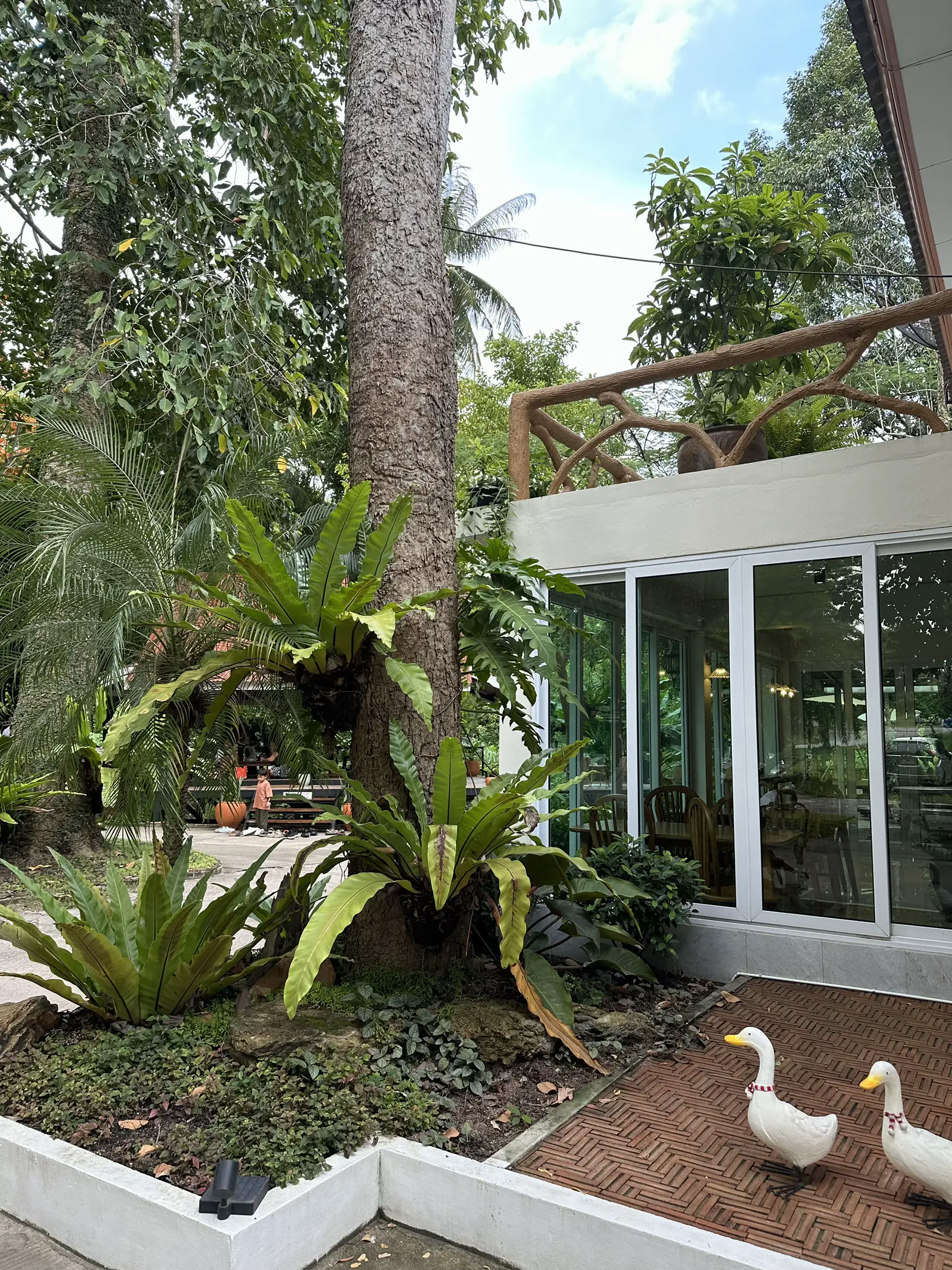 BAYON Thasai คาเฟ่ติดลำธารสุดฮีลลใจ ⛰️ | แกลเลอรีที่โพสต์โดย 🌻🅕🅐🅡🅜 🅢🅤🅚 ...