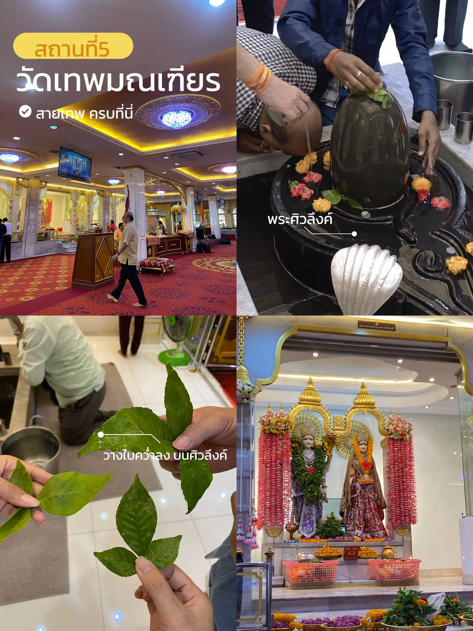 1 day trip พาไปมูต้อนรับต้นปี | แกลเลอรีที่โพสต์โดย Chada Mea | Lemon8