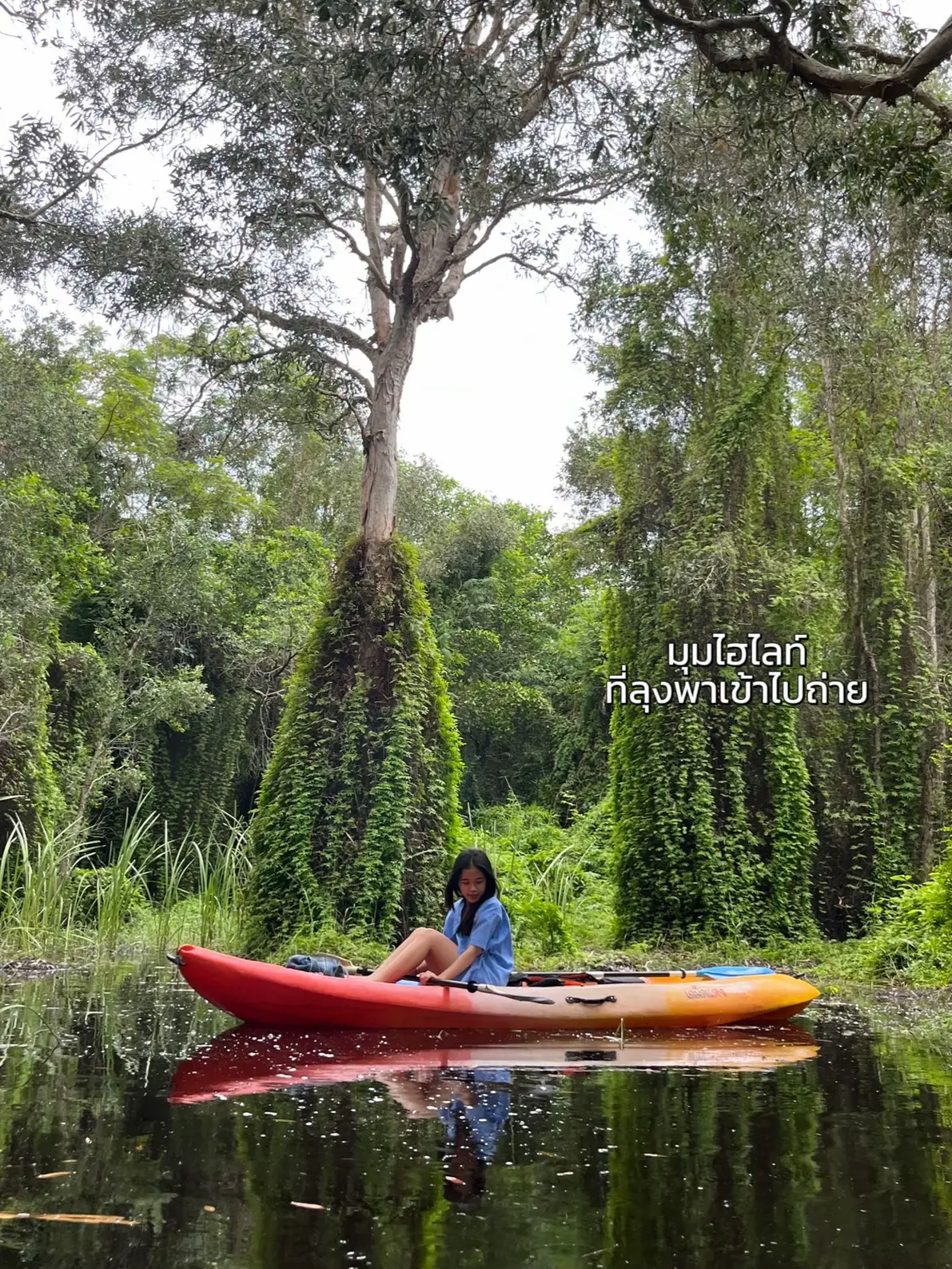 พายเรือดูสวนดึกดำบรรพ์ พฤกษศาสตร์•ระยอง🛶🪷 | แกลเลอรีที่โพสต์โดย ...