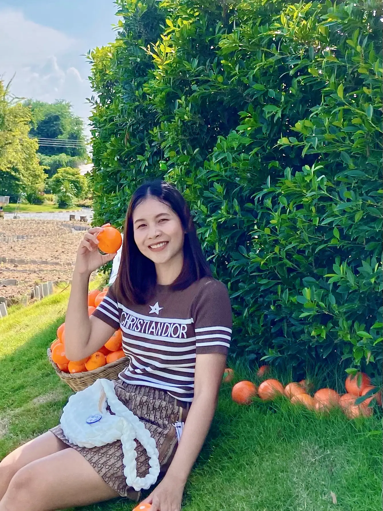 DD Flower Farm | แกลเลอรีที่โพสต์โดย 𝐓𝐡𝐢𝐜𝐡𝐚 •ᴥ• | Lemon8