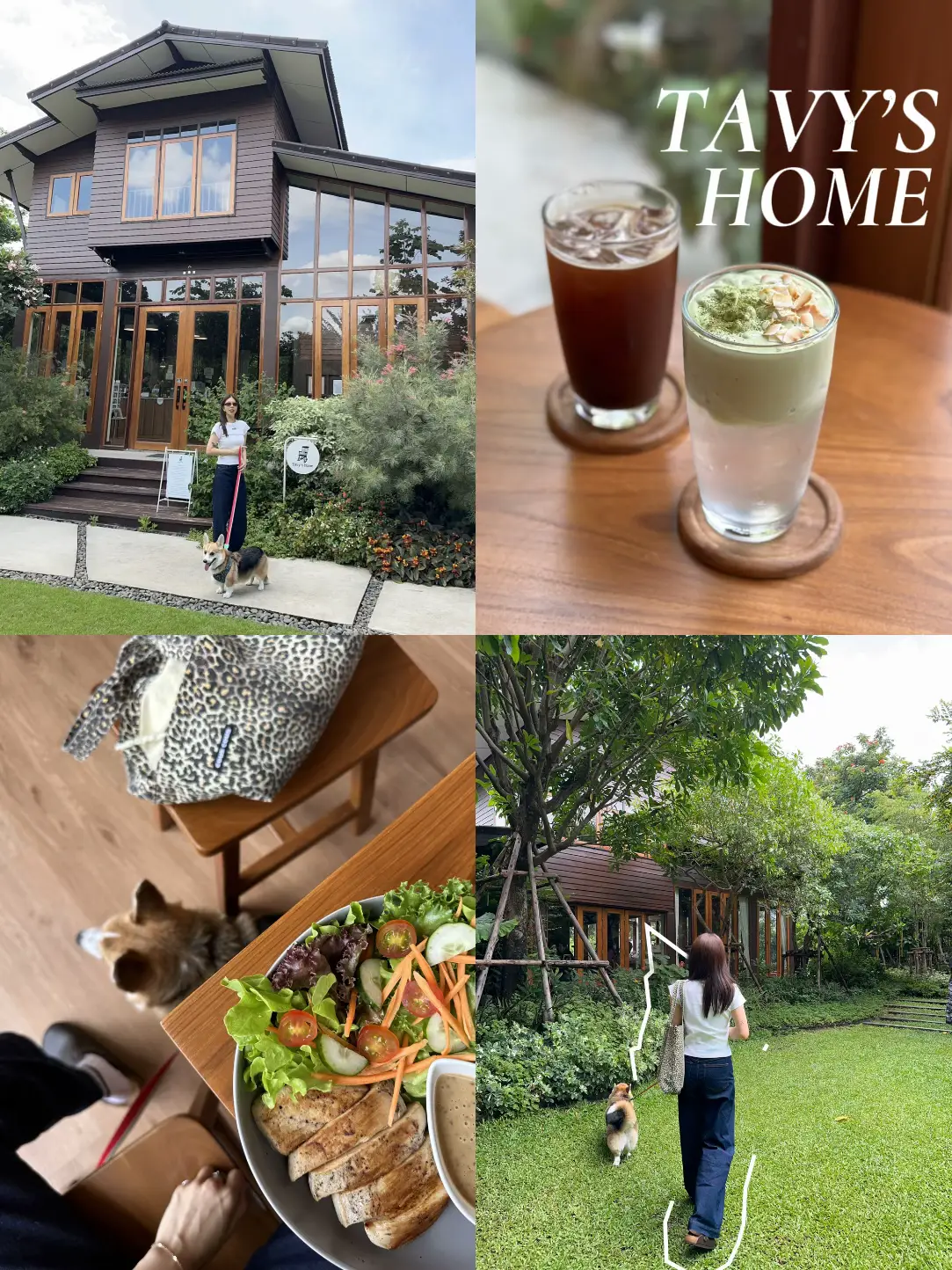 TAVY’S คาเฟ่สุดโฮมมี่ ฟีลสวนใกล้ชิดธรรมชาติ 🌿🍃 ใจกลางสุขุมวิท | แกลเลอ ...