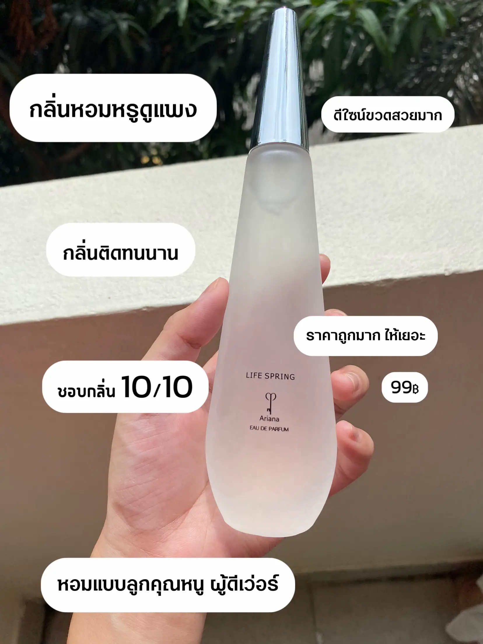 ป้ายยา น้ำหอม LIFE SPRING PERFUME 🦋 | แกลเลอรีที่โพสต์โดย 🔮หาทำไปเรื่อย ...