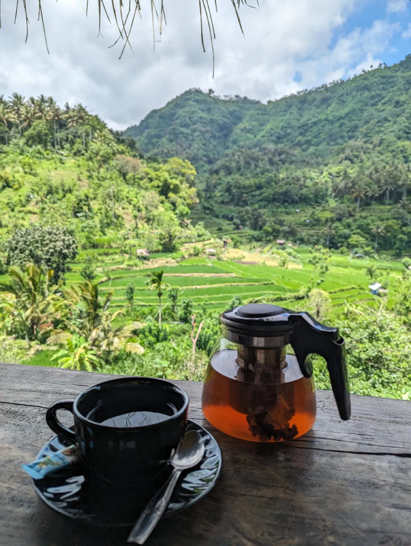 Enjoy the rice terraces without the crowd in Bali | Gallery posted by ...