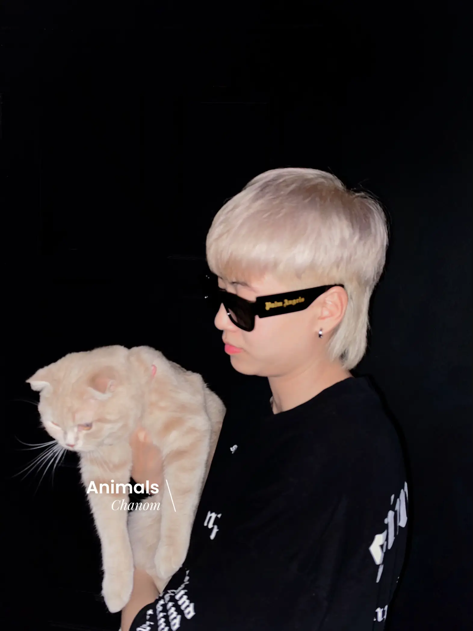 ถ่ายรูปคู่สัตว์เลี้ยง📸🐈 | แกลเลอรีที่โพสต์โดย miimi_mm | Lemon8