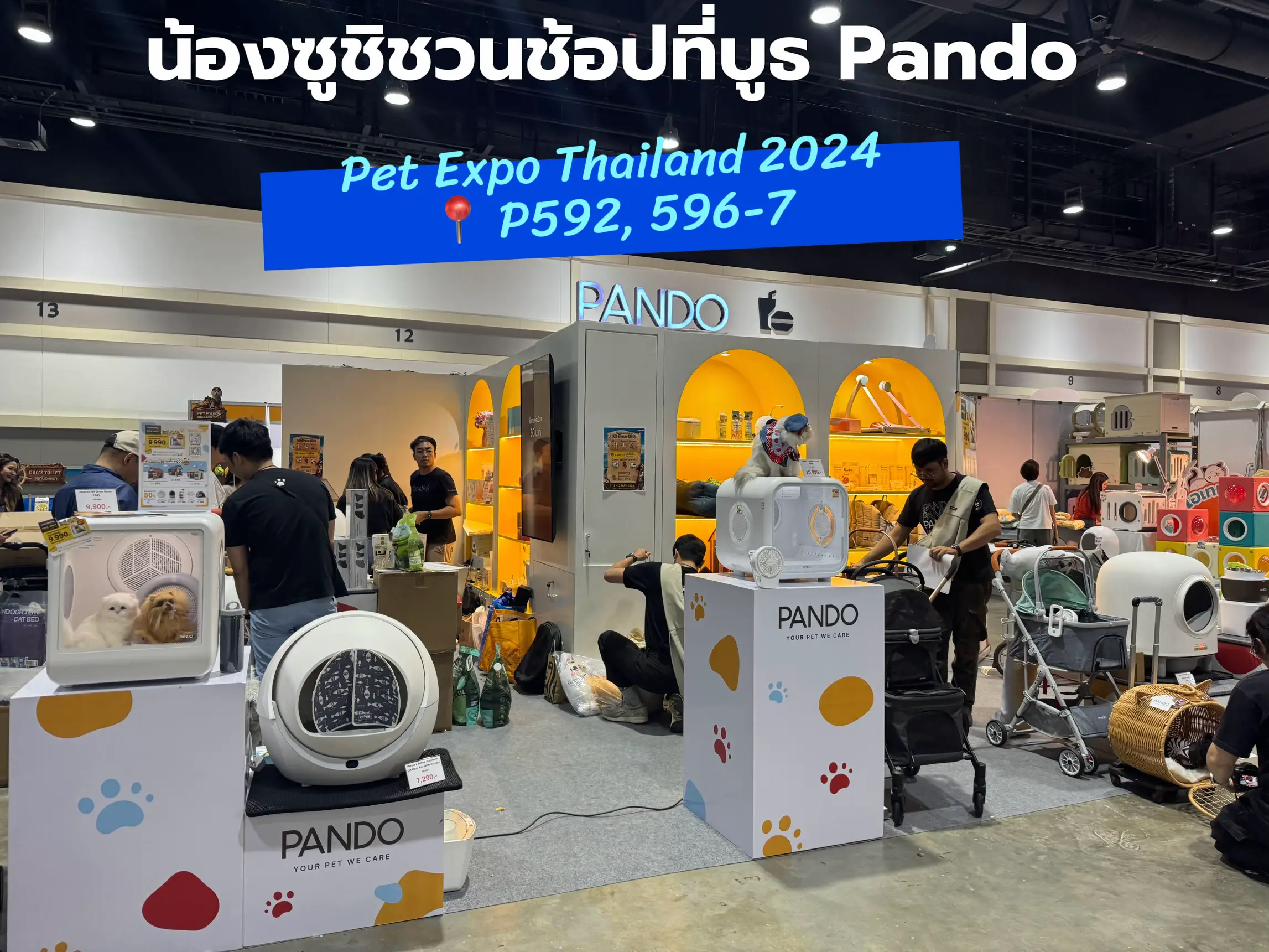 น้องชิชวนมาช้อปที่บูธ Pando P592,596-7 Pet Expo Thailand | แกลเลอรีที่โพสต์โดย Gangsammeaw | Lemon8