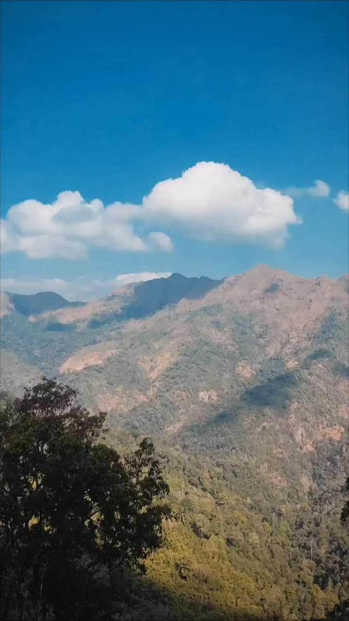 เหนื่อยตั้งแต่ต้นปี พักผ่อนสายตาบ้าง ! 💐 | วิดีโอที่เผยแพร่โดย Mei | Lemon8