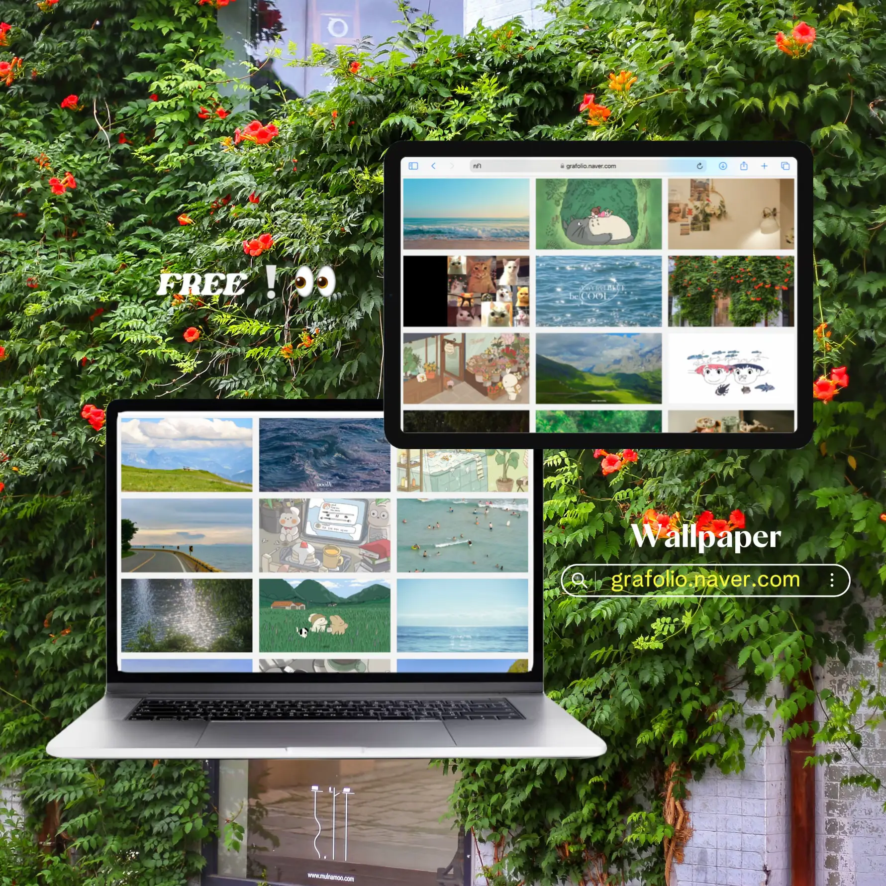 grafolio wallpaper - การค้นหาใน Lemon8