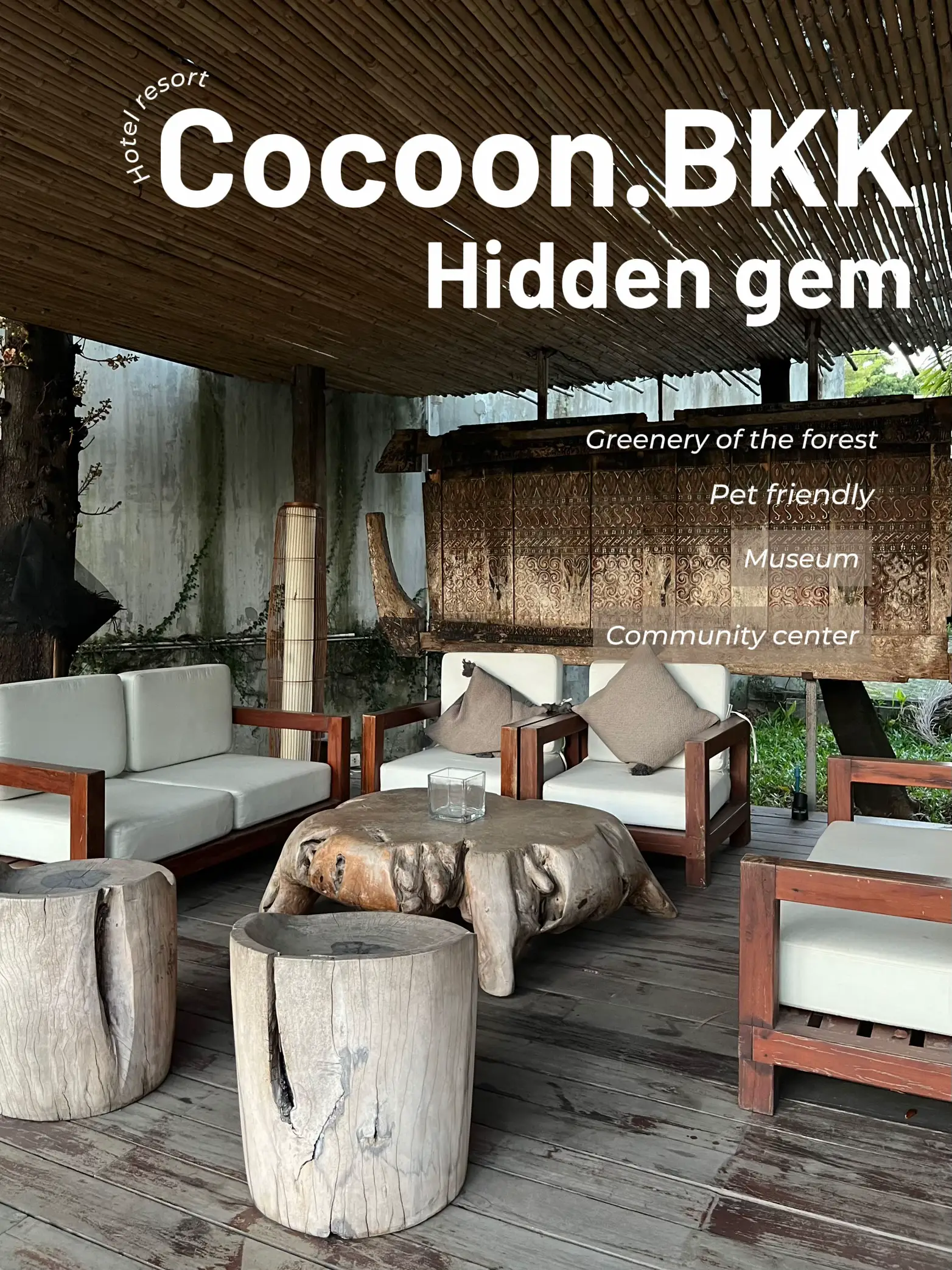 Let's relax @Cocoon.BKK 🌴☀️🚙 | แกลเลอรีที่โพสต์โดย npsn.s | Lemon8