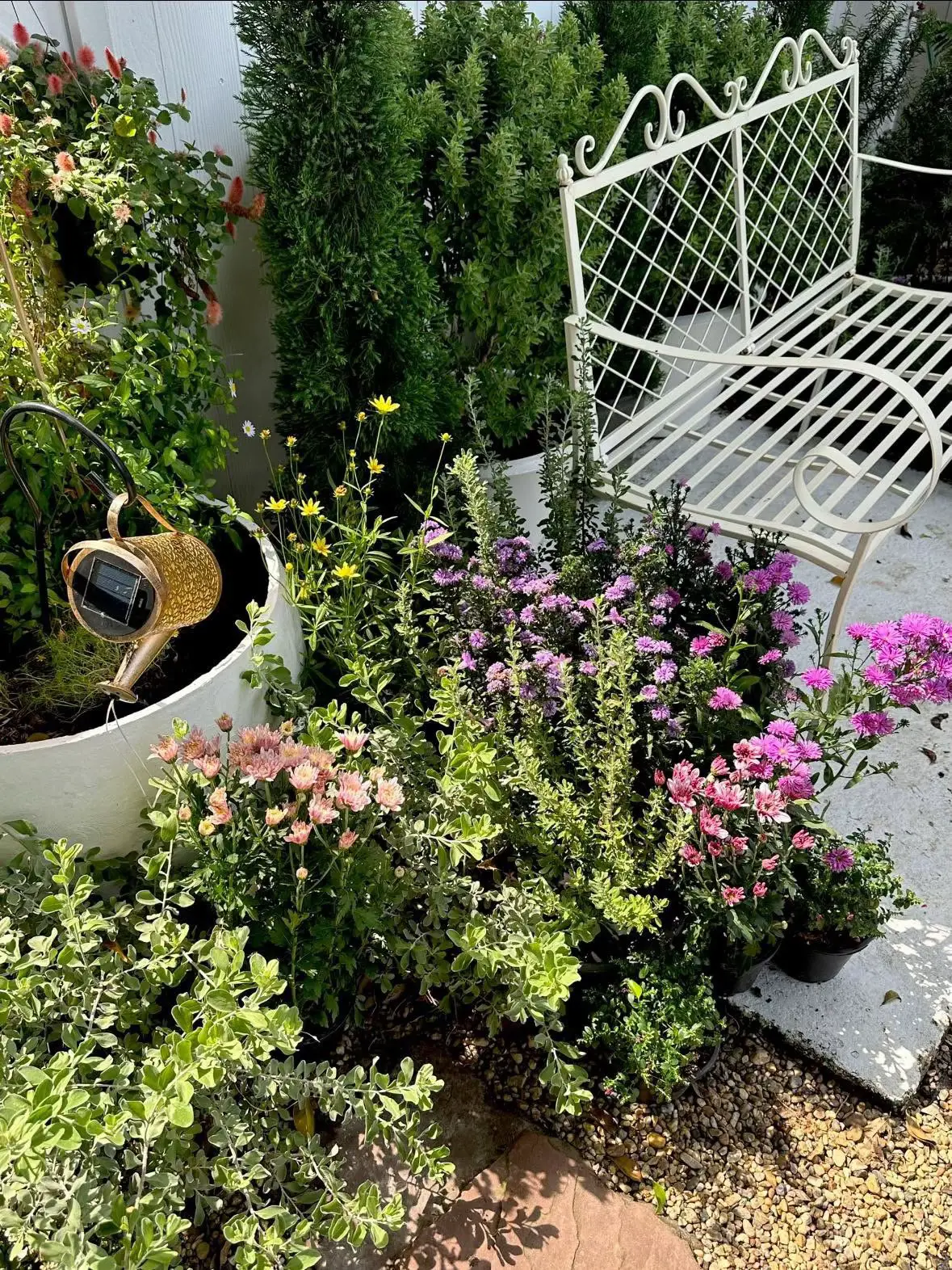 Heriot Cafe คาเฟ่เรือนกระจก วิวทะเล เปิดใหม่ บางแสน | แกลเลอรีที่โพสต์โดย On The Rose - to ...