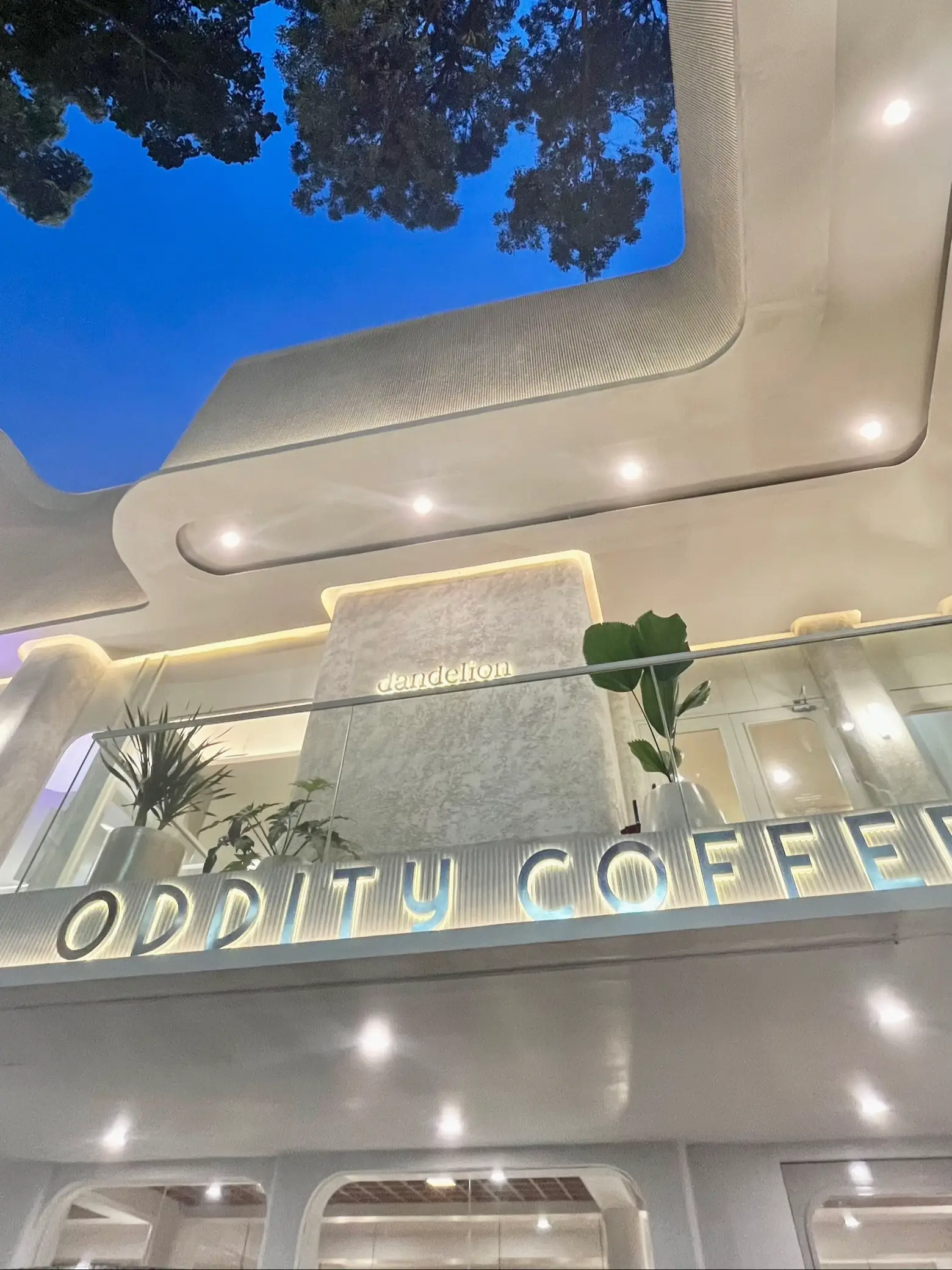 CAFE AESTHETIC DI JAKSEL! MUST VISIT!😍 | Galeri diposting oleh Tempat LUC(u) | Lemon8