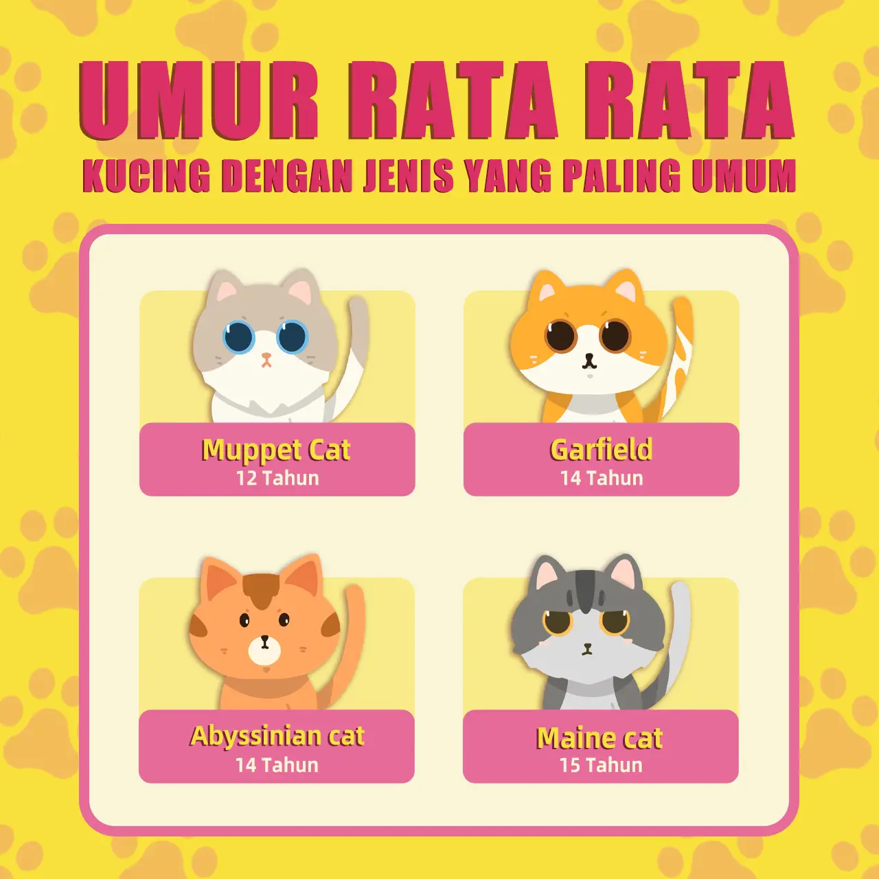 jenis-jenis kucing - Pencarian Lemon8