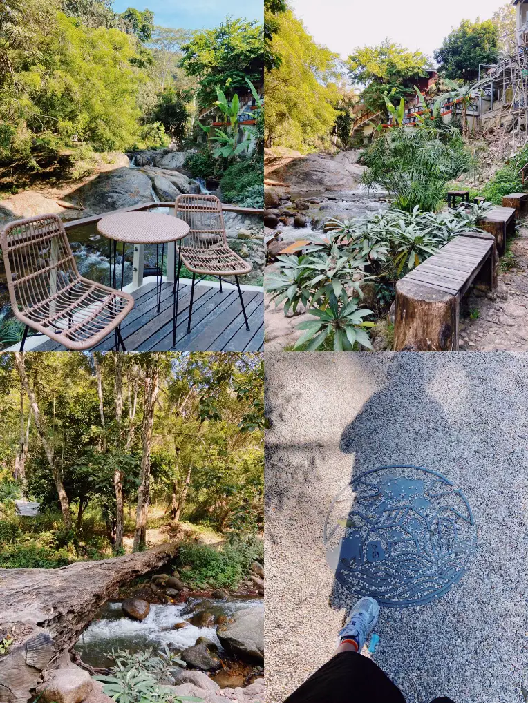 🌳 ที่พัก & คาเฟ่ Taryn Tara Cafe and Stay | แกลเลอรีที่โพสต์โดย ᙏ̤̫ ...