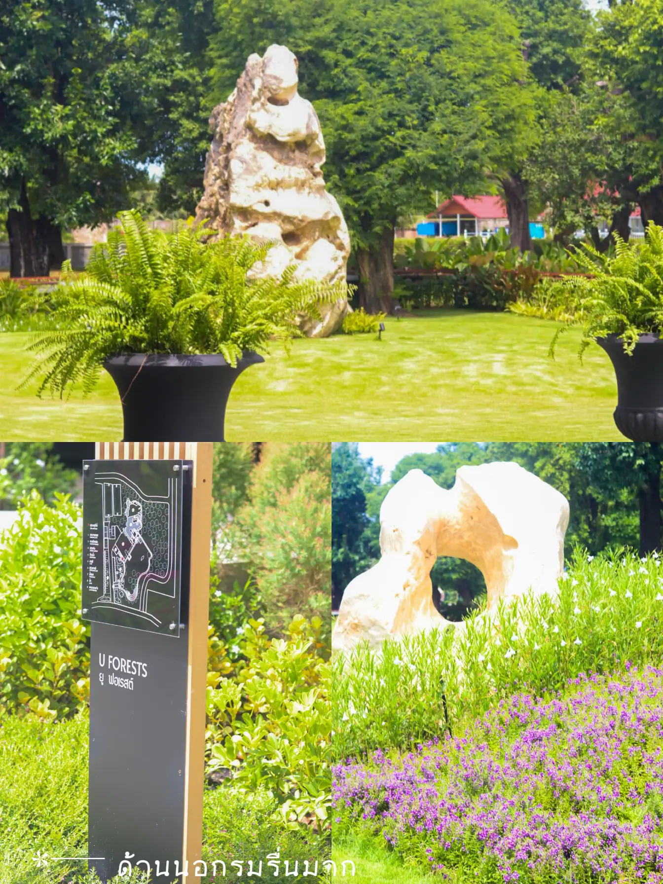 U Forest cafe คาเฟ่น้ำตก เปิดใหม่ ห้ามพลาด🥰 | แกลเลอรีที่โพสต์โดย Visa ...