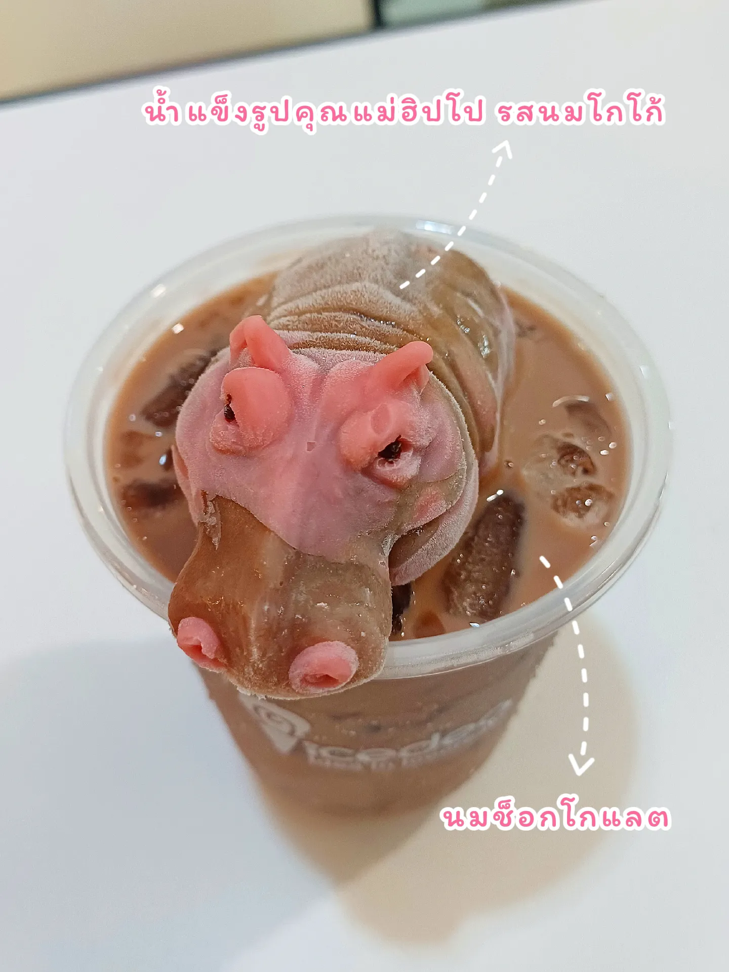 "Hippo Choco" เมนูน่ารัก อร่อยด้วย | แกลเลอรีที่โพสต์โดย พี่กินแซ่บ🌶 | Lemon8