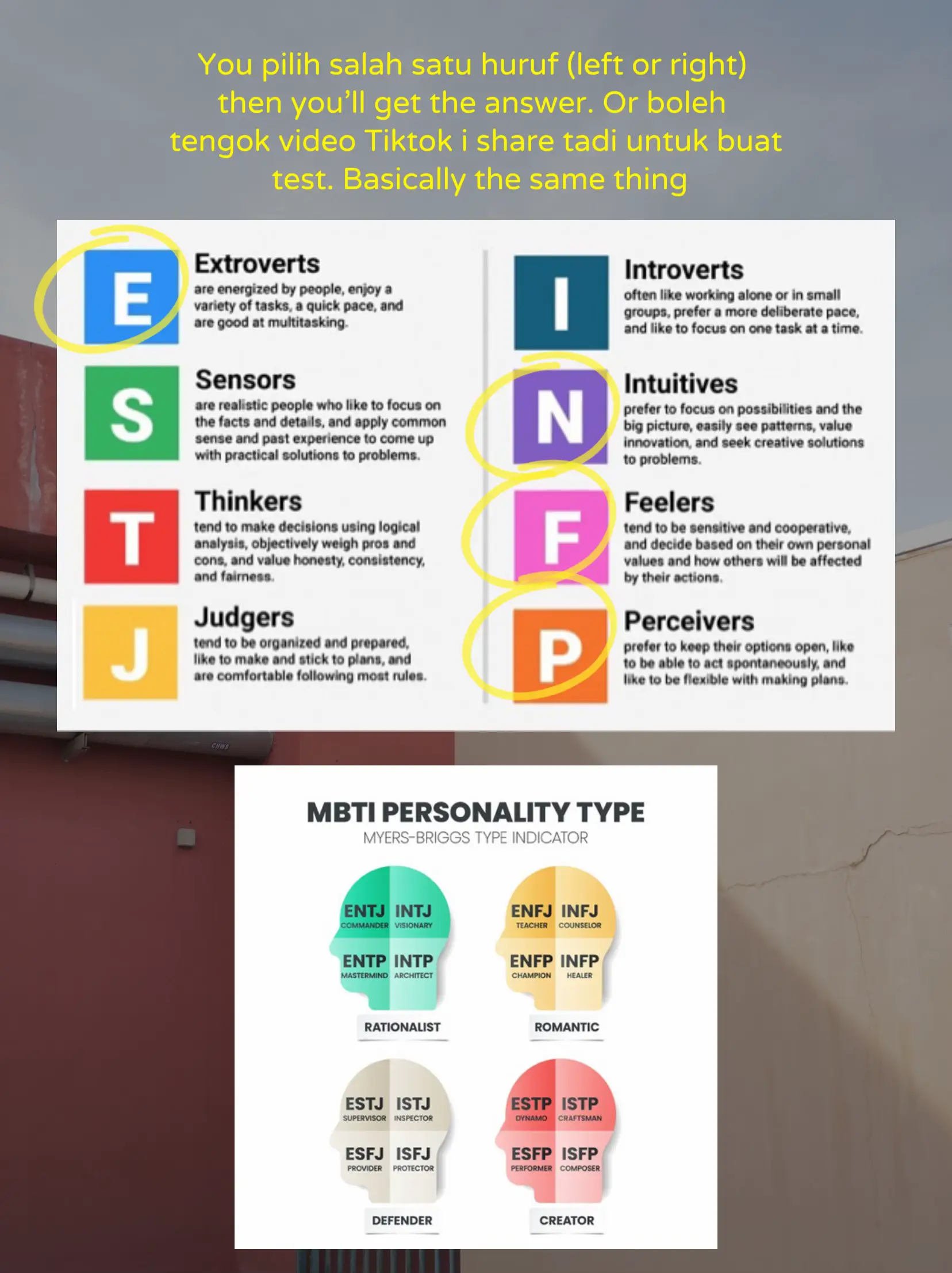 mbti-test-popular-among-koreans-recently-amyra