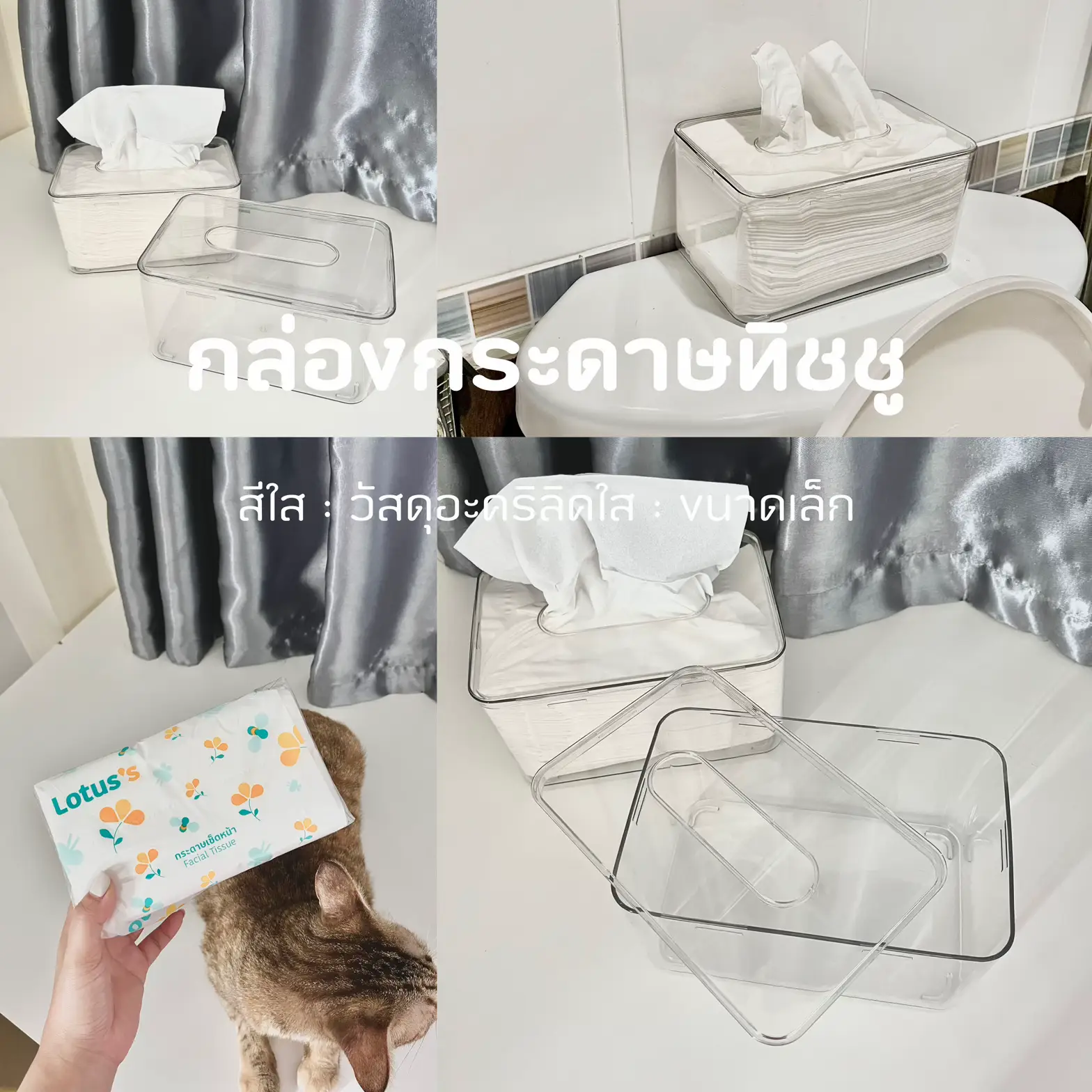 🐰🪄 กล่องใส่กระดาษทิชชู 🥨 | แกลเลอรีที่โพสต์โดย 𝒐𝒖𝒎𝒐𝒊𝒎 ♡ッ | Lemon8