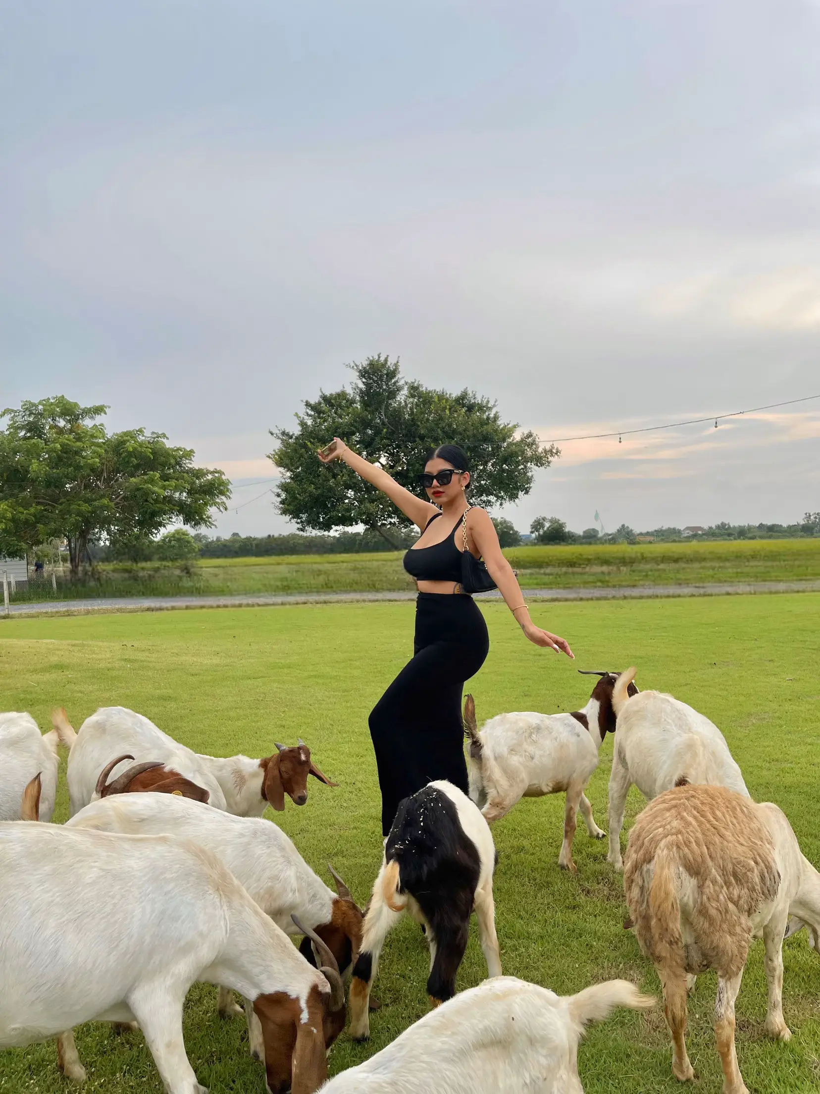 #คาเฟ่เปิดใหม่ในกรุงเทพสวยจนนึกว่าอยู่เขาใหญ่ | แกลเลอรีที่โพสต์โดย Tha.Nud.Chim | Lemon8