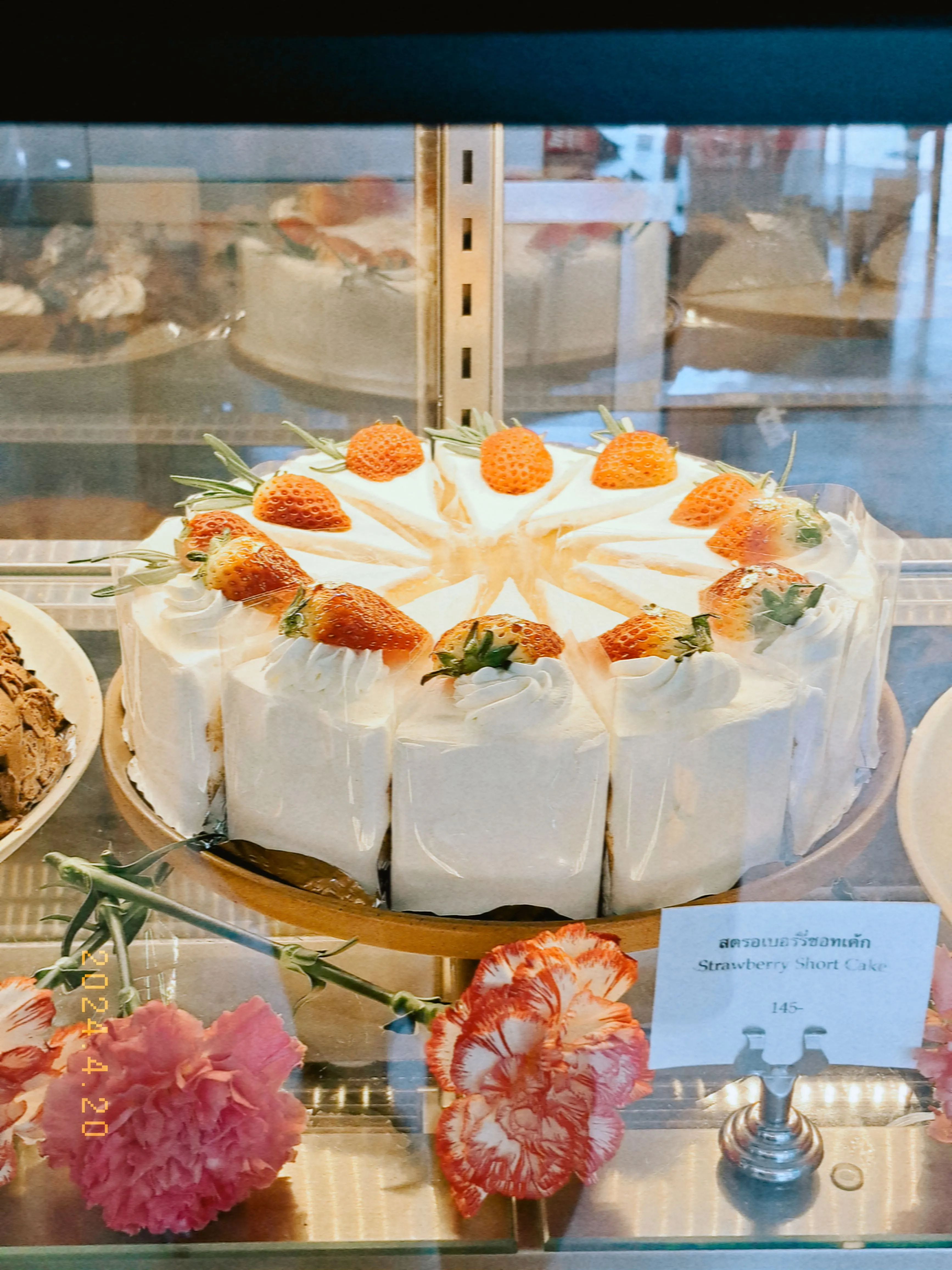 📌BOTANY CAFE&EATERY KRABI คาเฟ่สวนกลางเมืองกระบี่ | แกลเลอรีที่โพสต์โดย ...