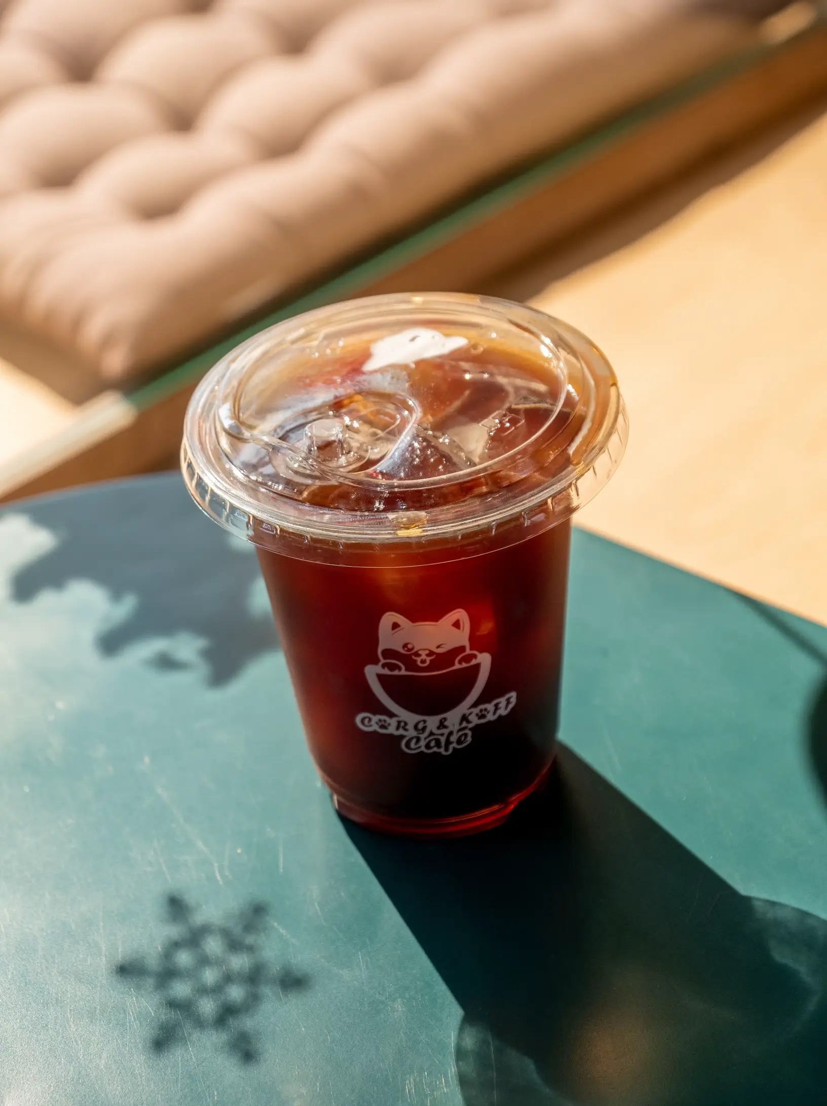 Corg and Koff | แกลเลอรีที่โพสต์โดย MYTWINP | Lemon8