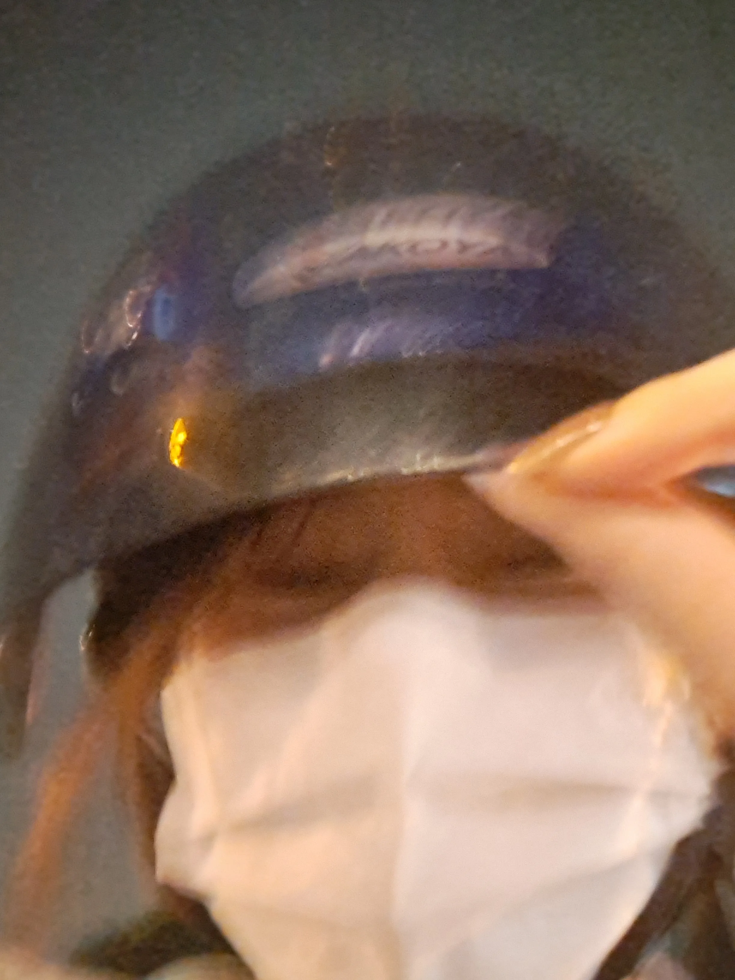 ฉบับไม่มีอะไรเป็นของตัวเอง ยกเว้นหนี้ๆๆๆ | แกลเลอรีที่โพสต์โดย 🌻Jaii 🌻 | Lemon8