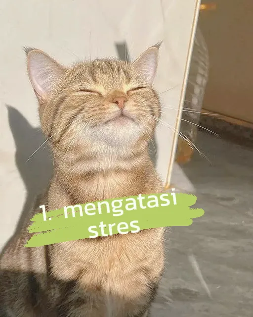 The power of positif thinking | แกลเลอรีที่โพสต์โดย Helmi-n88 | Lemon8