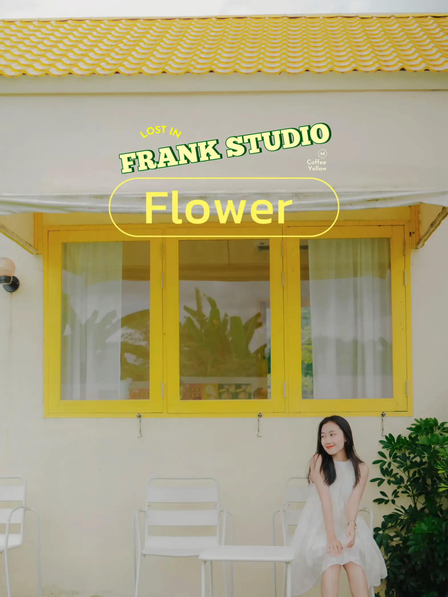 Flower | Gallery posted by frank | Lemon8