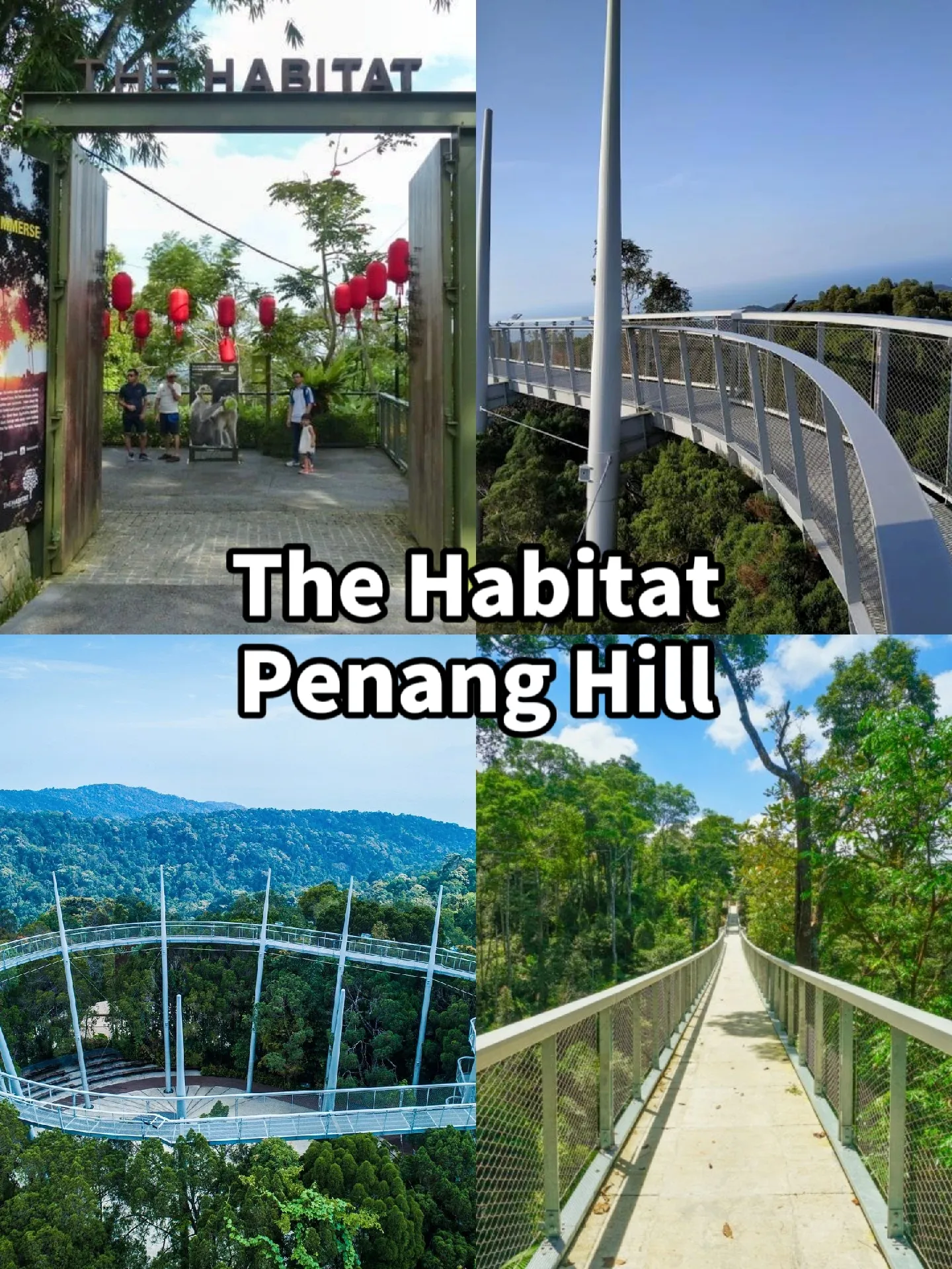 🇲🇾10 Must Visit Spots in Penang | Galeri disiarkan oleh Wen Kai | Lemon8