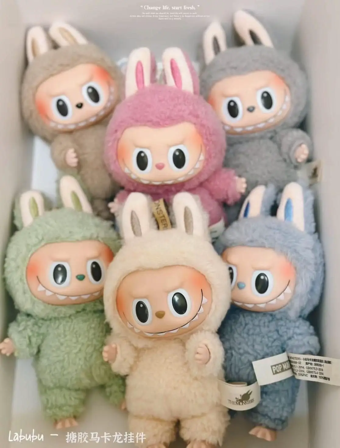 กล่องสุ่มพวงกุญแจ Labubu | แกลเลอรีที่โพสต์โดย Tiny corner | Lemon8