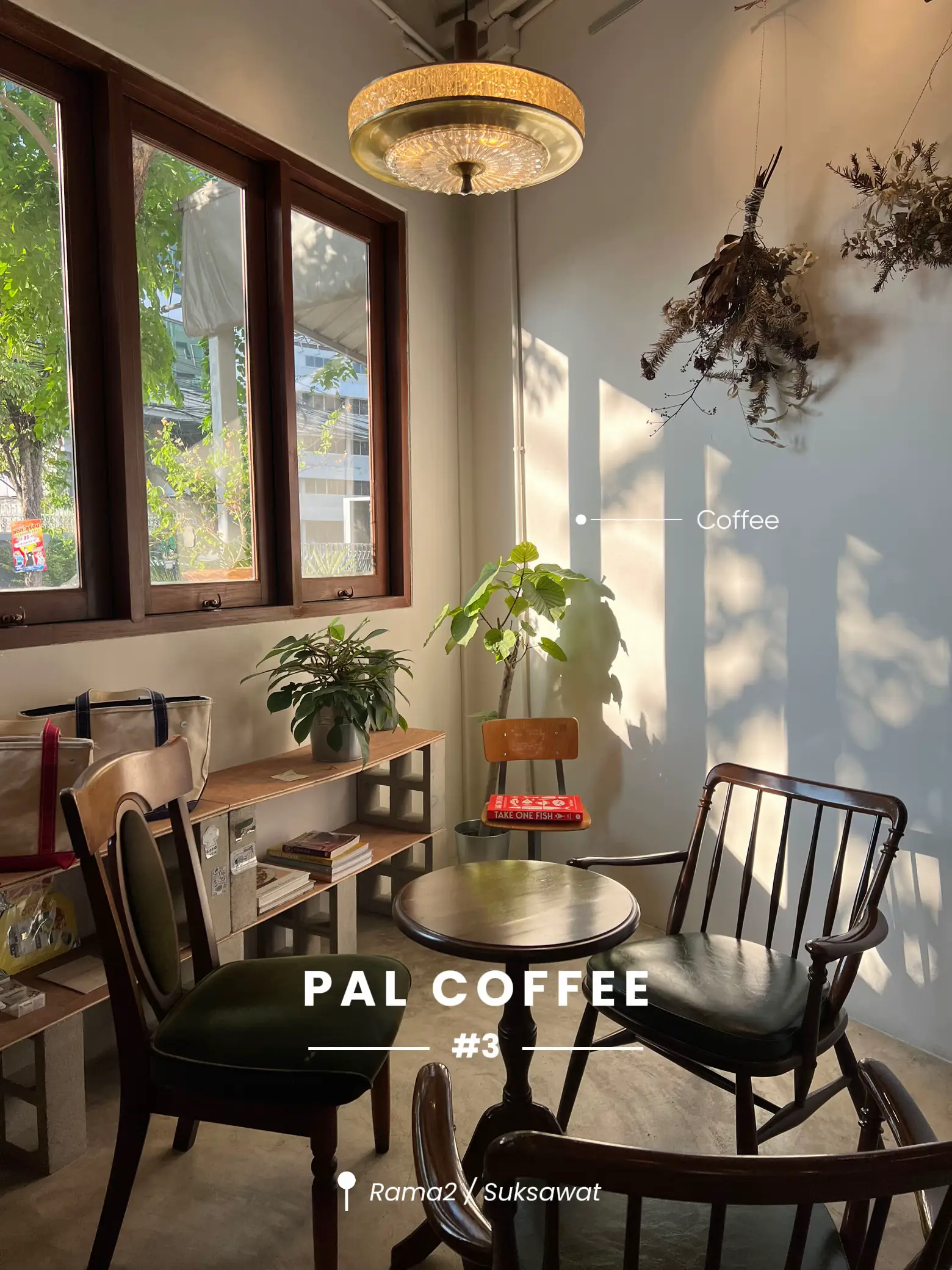 📍pal coffee.bkk คาเฟ่ย่านพระราม2 ☕️ | แกลเลอรีที่โพสต์โดย tttk | Lemon8