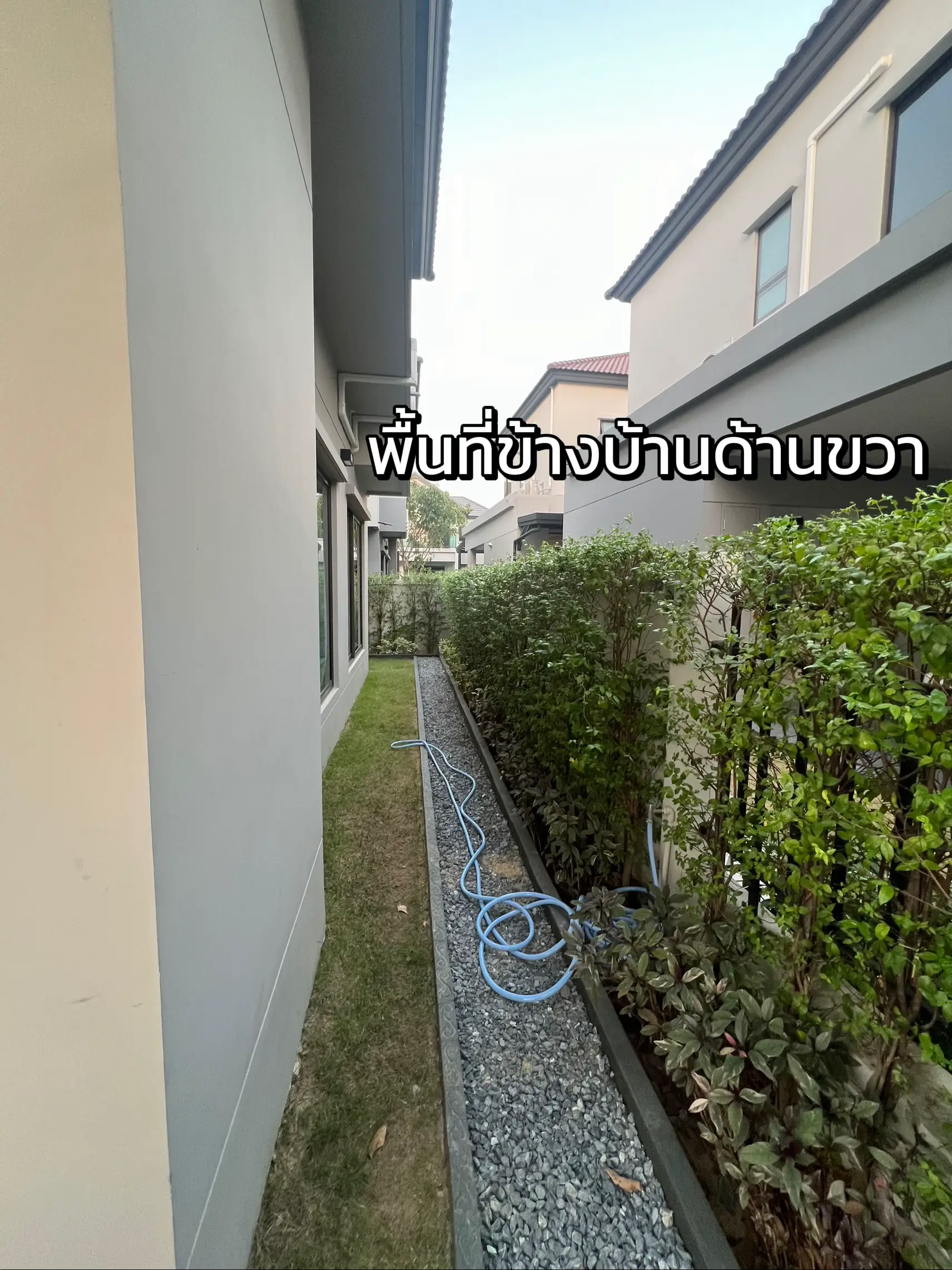 บ้านหลังน้อย EP4 | แกลเลอรีที่โพสต์โดย Aumaim.ump | Lemon8