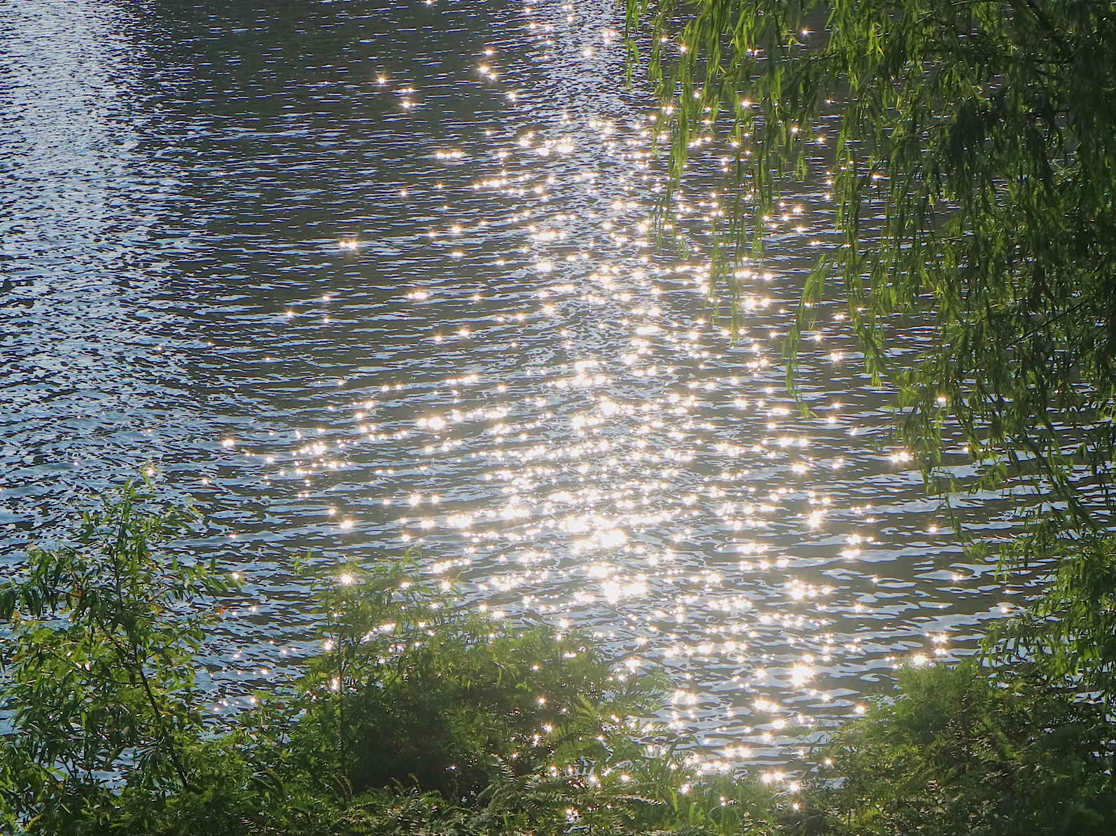 Grafolio Wallpaper - การค้นหาใน Lemon8