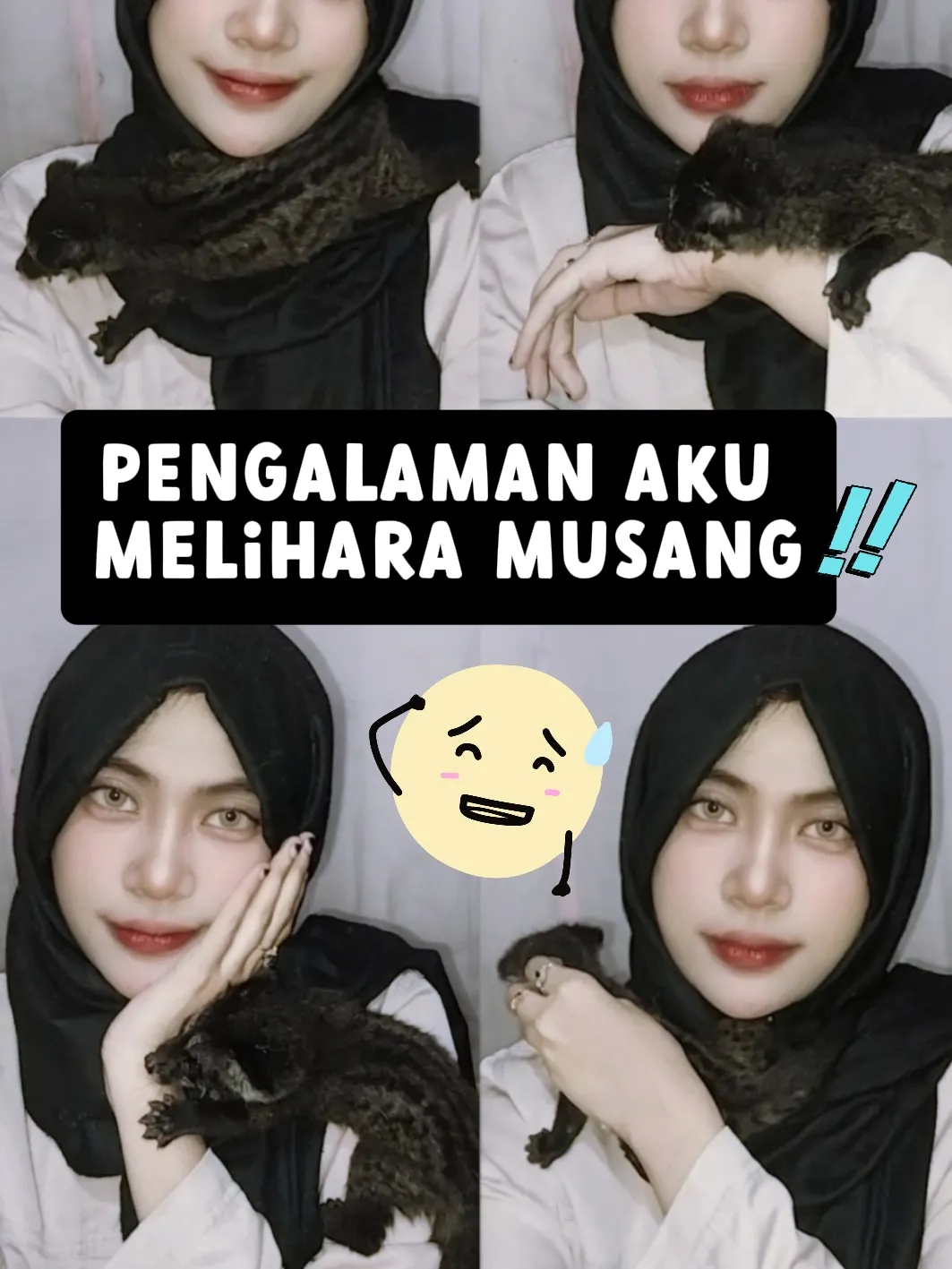 Pengalaman aku melihara Musang | Galeri diposting oleh cica | Lemon8