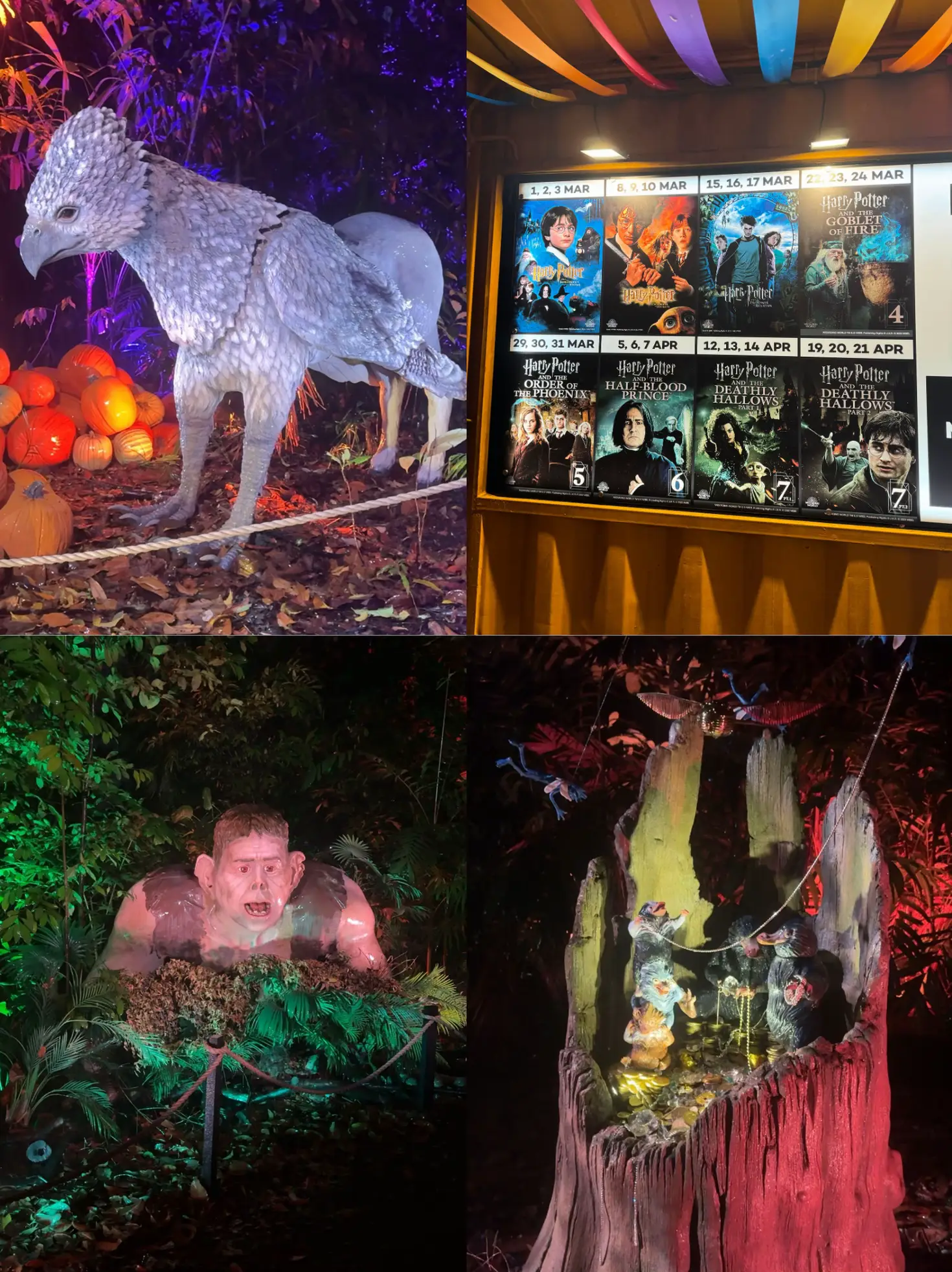 รีวิวงาน Harry Potter: A Forbidden Forest Experience | แกลเลอรีที่โพสต์ ...