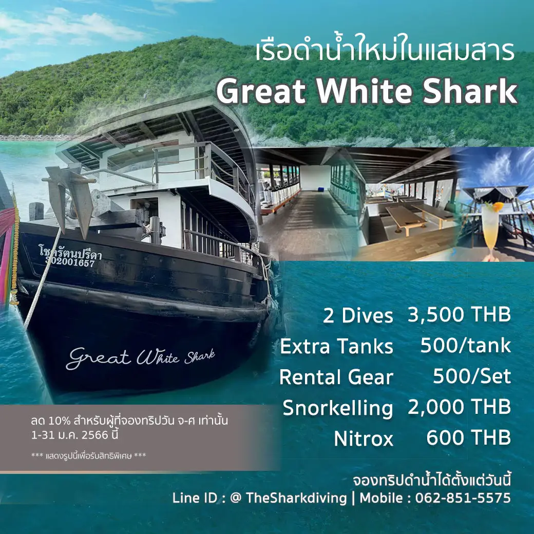 เรียนดำน้ำสกูบ้า กรุงเทพ สอบแสมสาร เรือแจ่ม หรู สบาย | แกลเลอรีที่โพสต์โดย narupon.boung | Lemon8