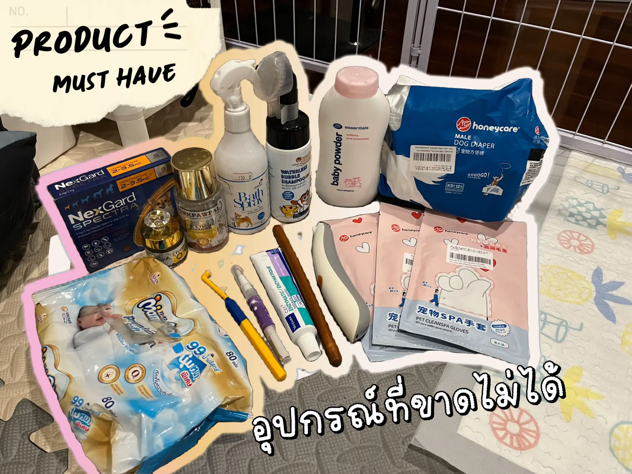 เปิดกรุ เลี้ยงน้องปอมครบ 1 ปีแรก มีซื้ออะไรไปบ้างน้า🤔 | แกลเลอรีที่โพสต์โดย Moobin Cuddle | Lemon8